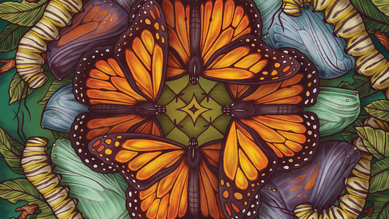 Life Lessons from the Monarch Butterfly | Hachette Book Group