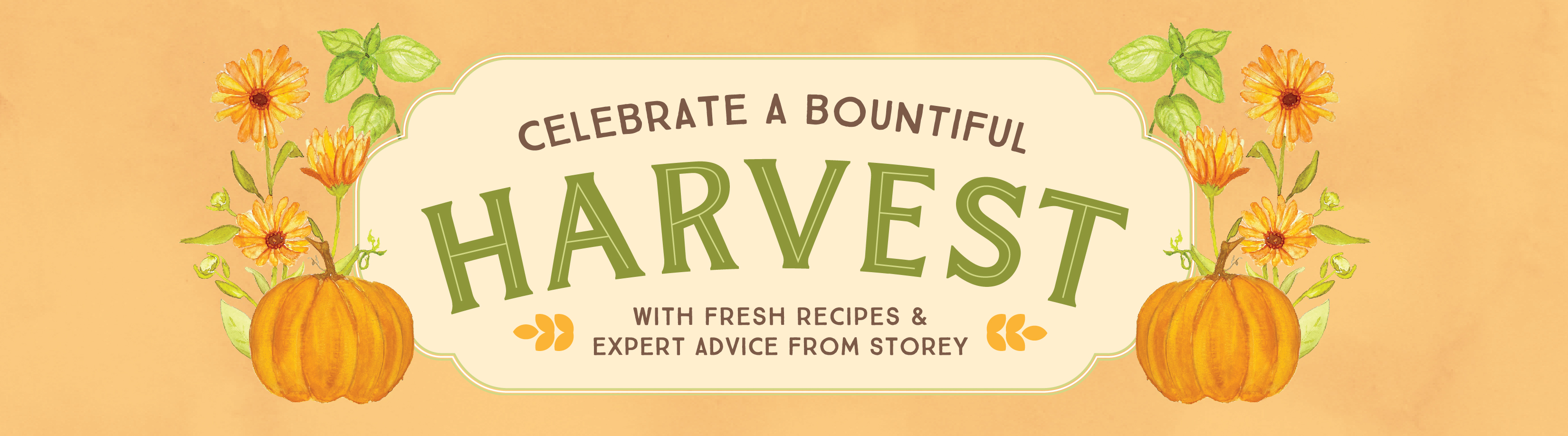 Celebrate a Bountiful Harvest | Hachette Book Group
