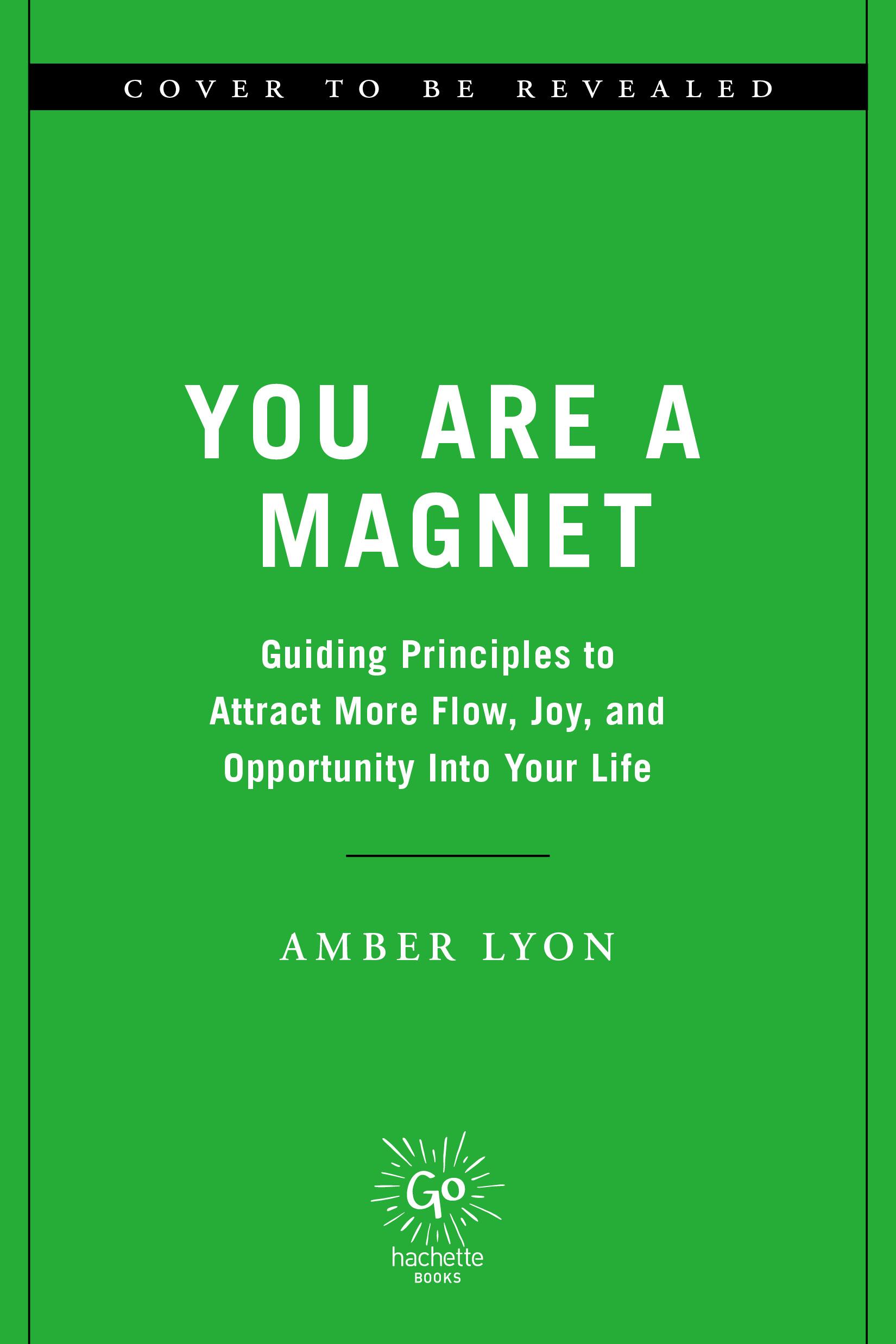 You Are a Magnet by Amber Lyon | Hachette Book Group
