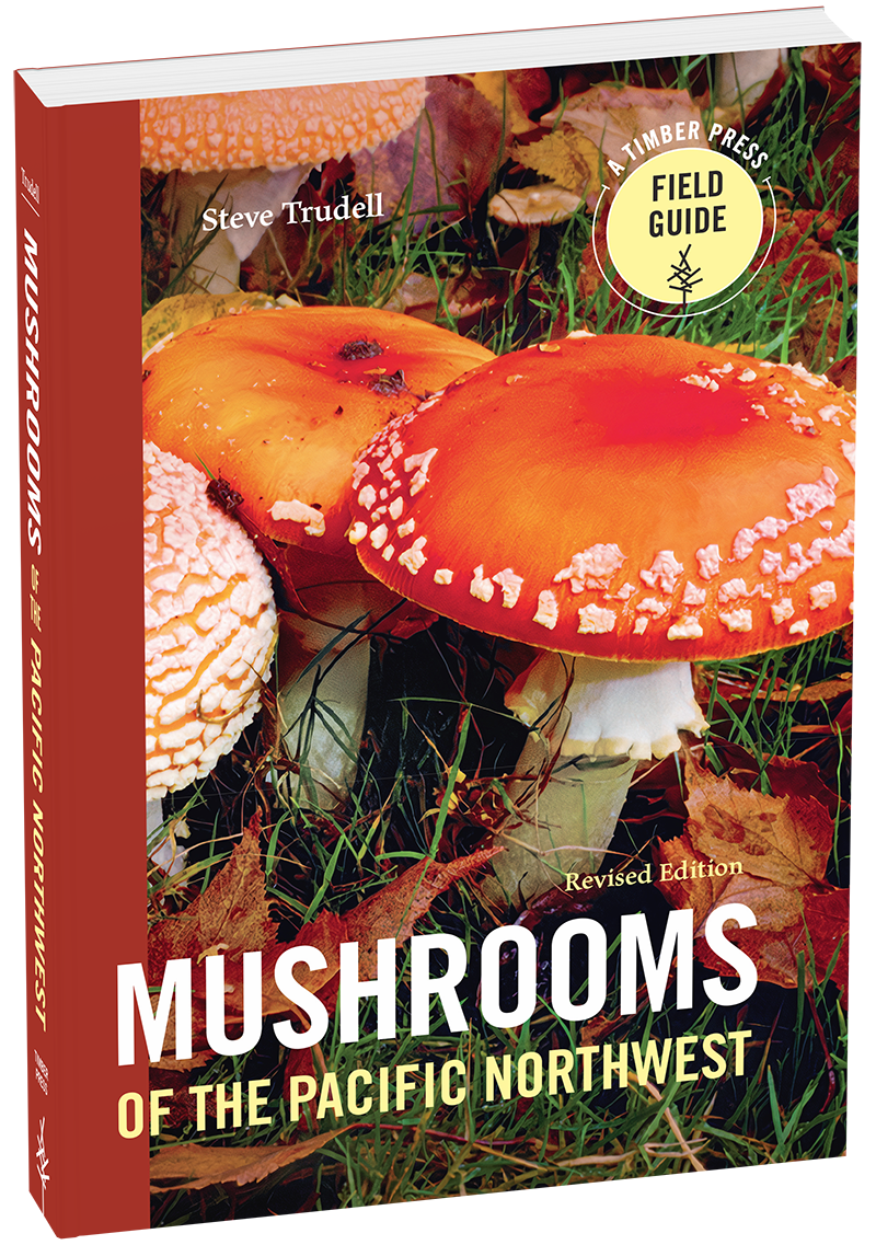 Foraging Books - Timber Press | Hachette Book Group