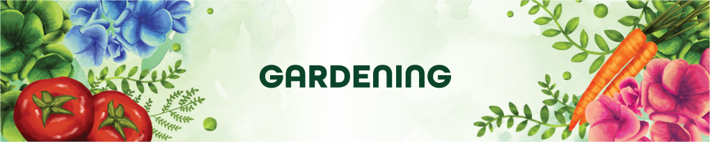 Timber Press – Books – Gardening | Hachette Book Group