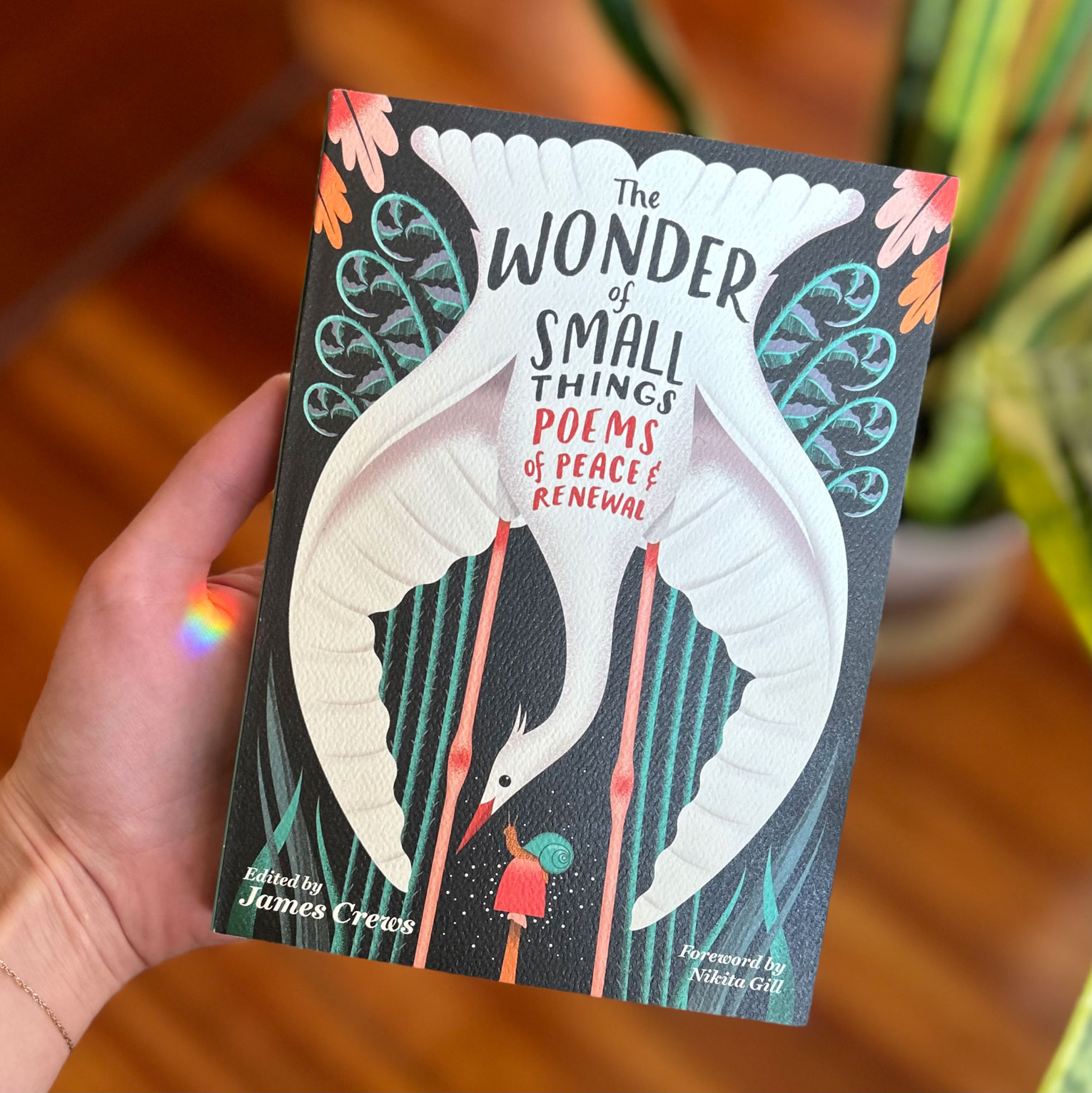 November Praise | Hachette Book Group