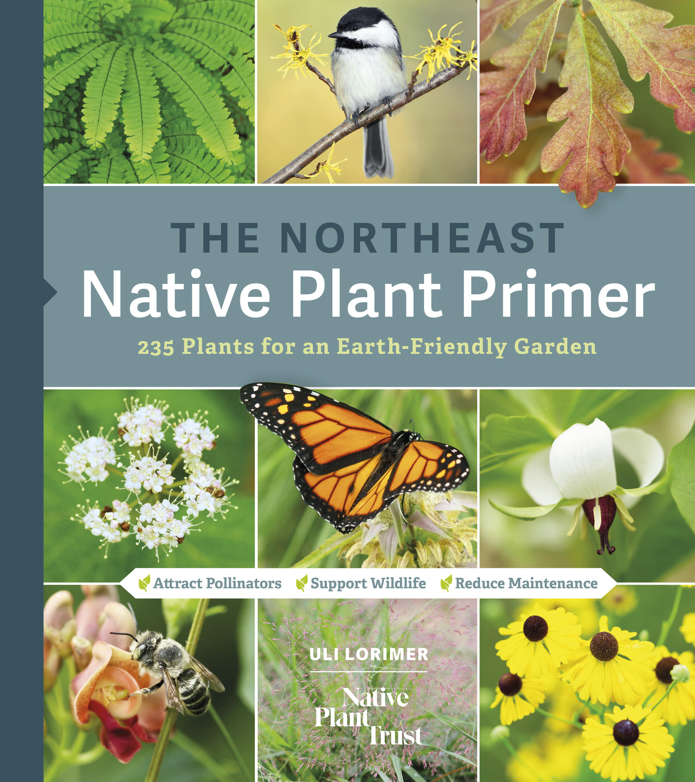 Timber Press – Series – Native Plant Primers | Hachette Book Group