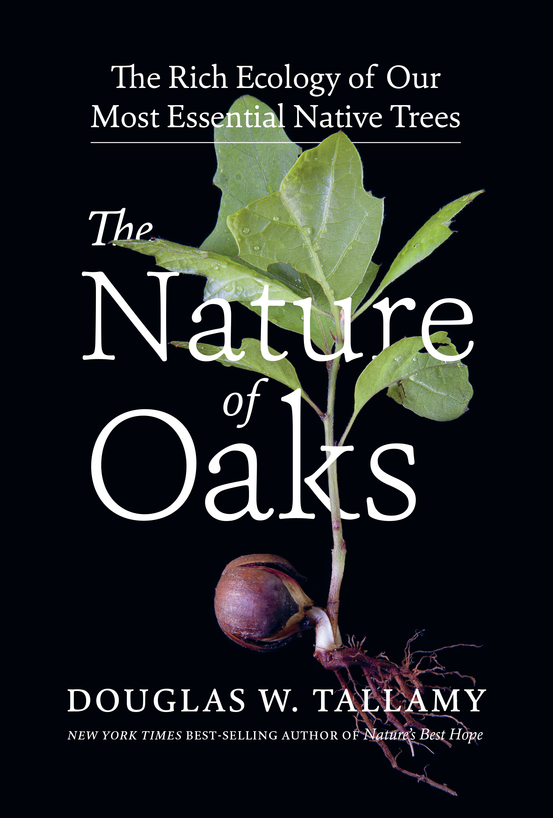Doug Tallamy's New Book | Hachette Book Group
