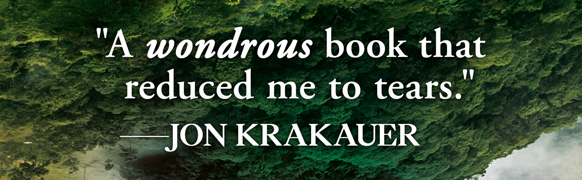 THIS ORDINARY STARDUST Shelf Awareness Giveaway | Hachette Book Group