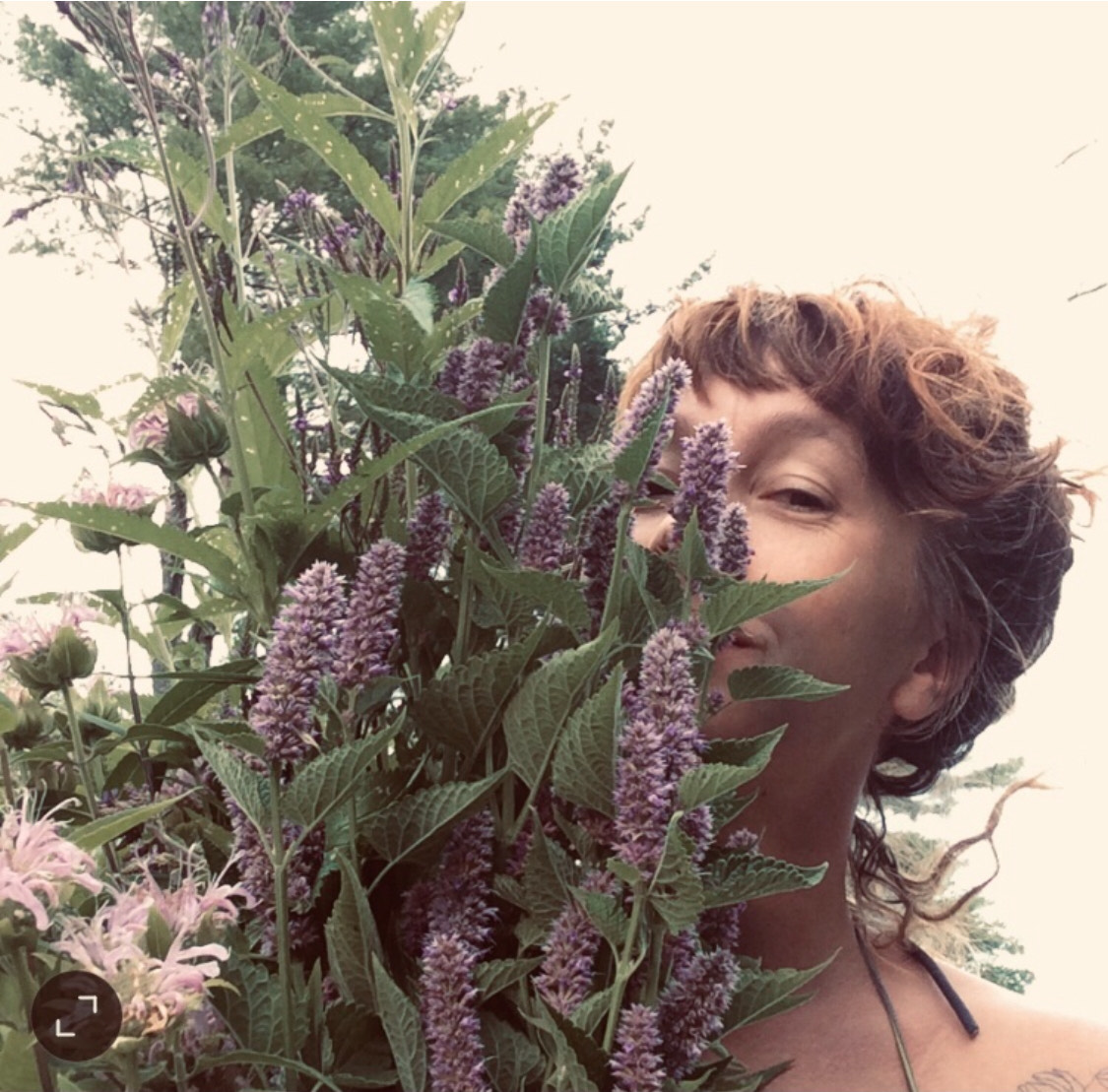 Anne Louise Burdett | Hachette Book Group