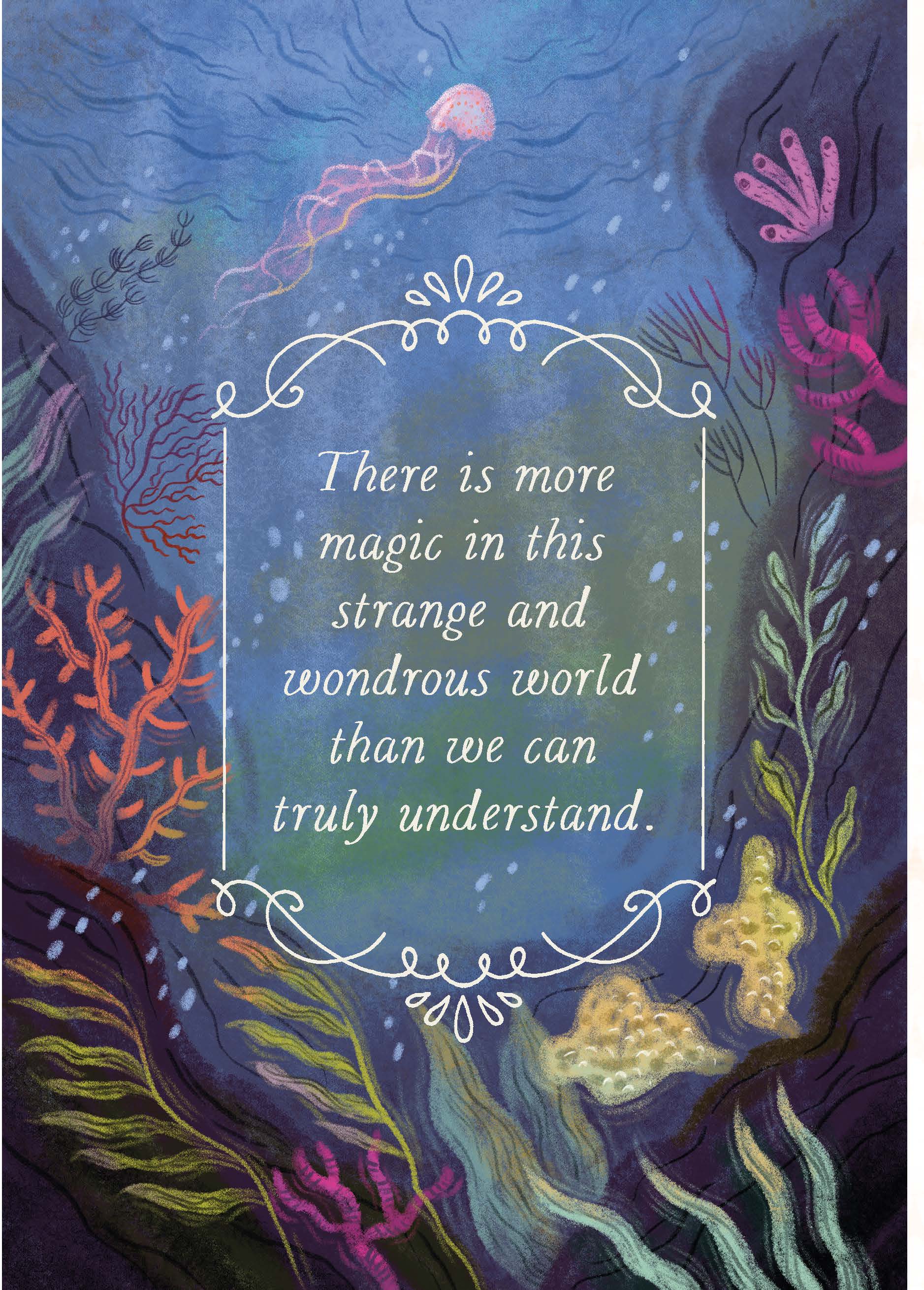 How to Spot a Fairy by Sarah Glenn Marsh & Lilla Bolecz | Hachette Book ...