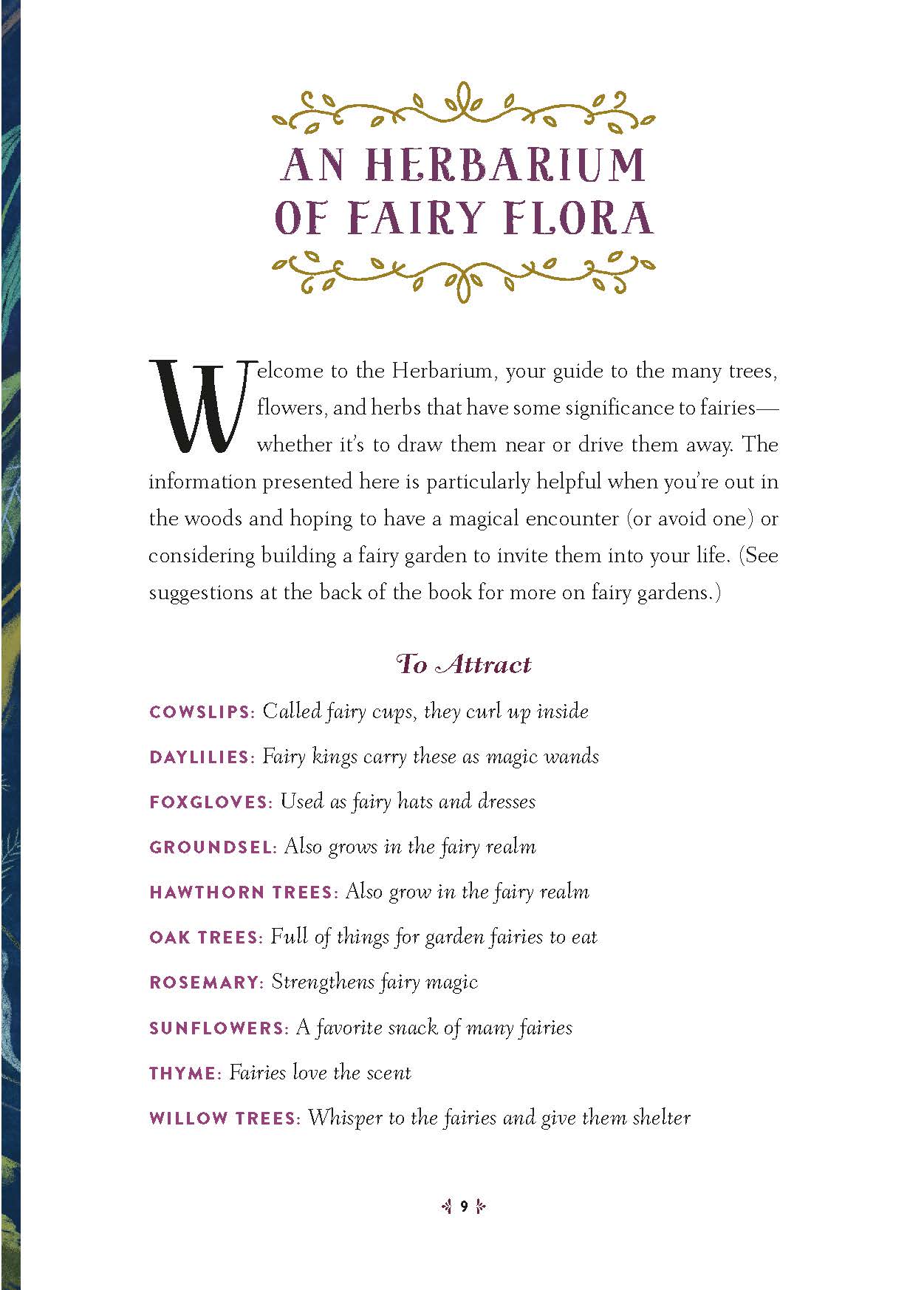 How to Spot a Fairy by Sarah Glenn Marsh & Lilla Bolecz | Hachette Book ...