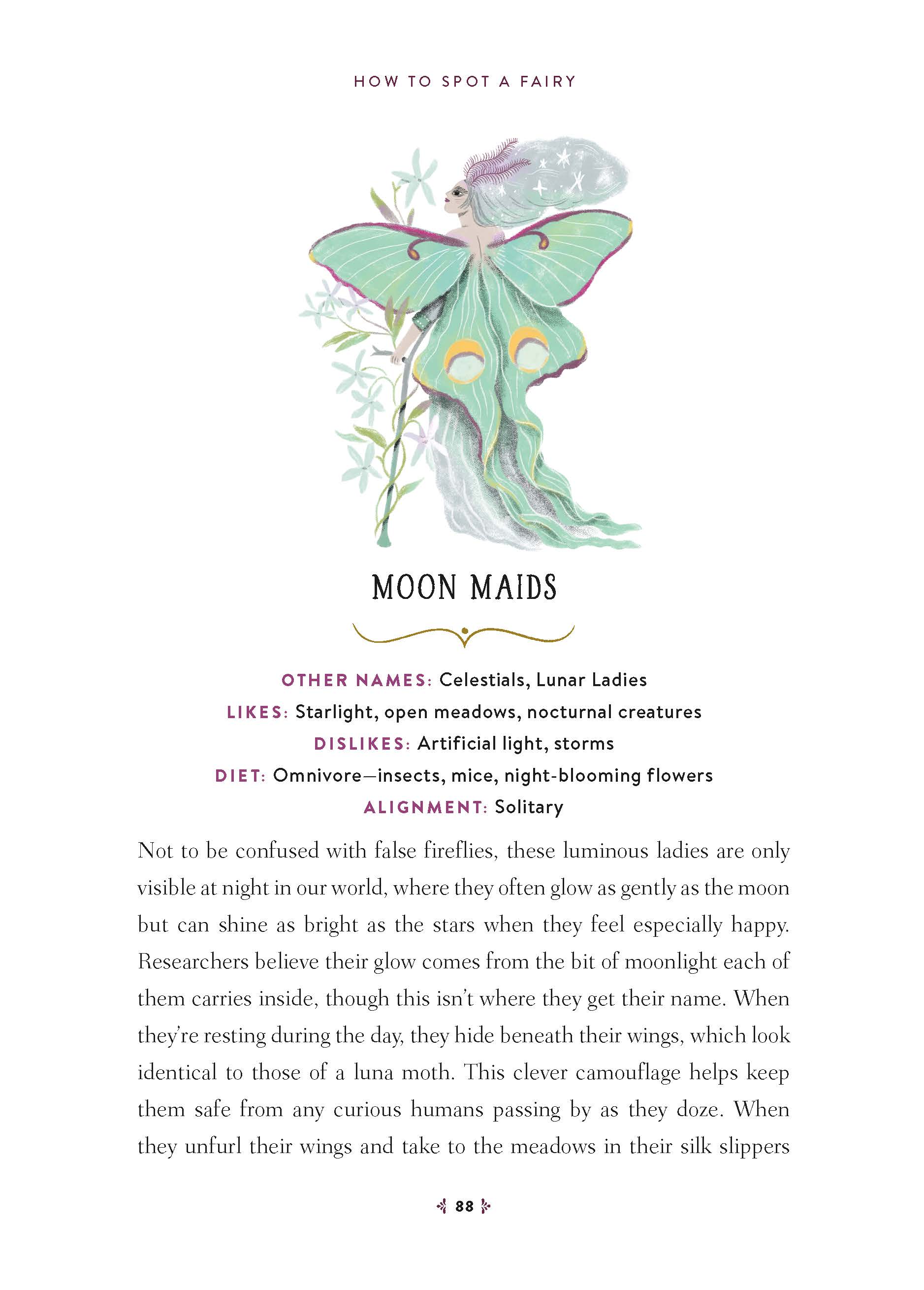 How to Spot a Fairy by Sarah Glenn Marsh & Lilla Bolecz | Hachette Book ...