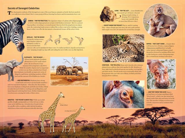 Atlas Obscura: Wild Life by Cara Giaimo | Hachette Book Group