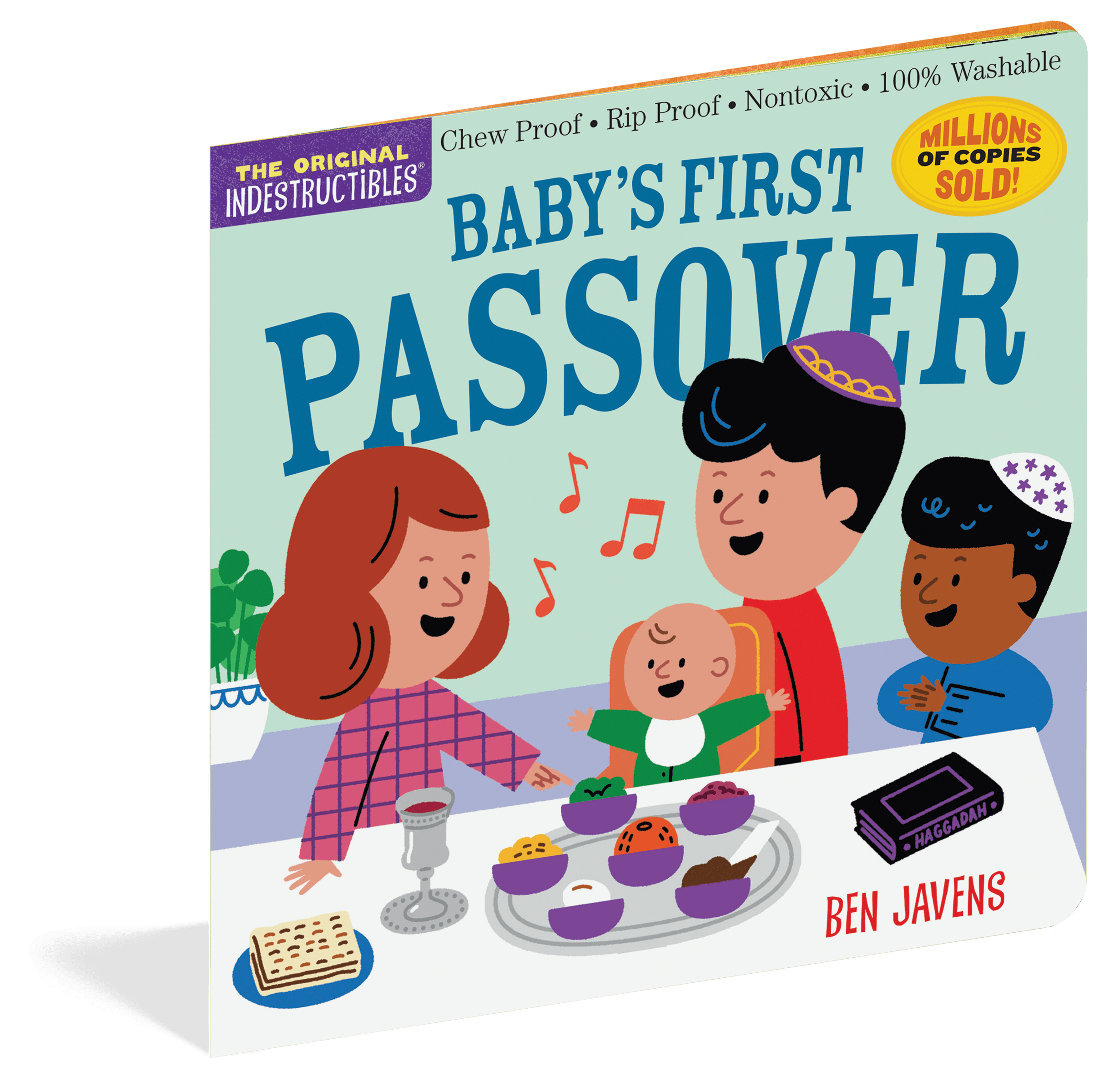 Indestructibles: Baby’s First Passover by Amy Pixton | Hachette Book Group