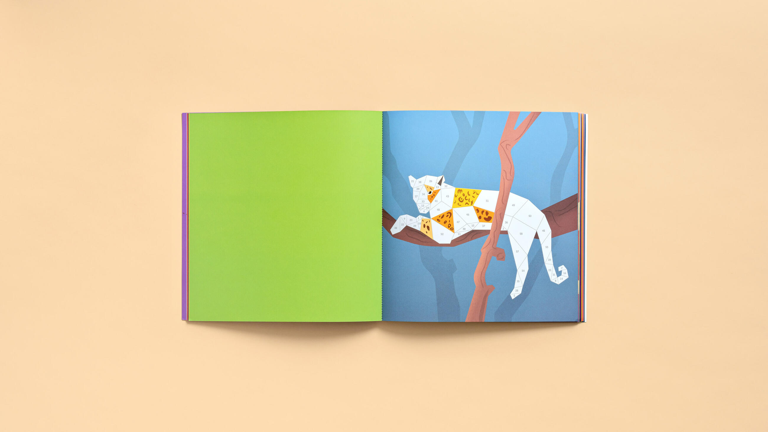 Paint by Sticker Kids: Rainforest Animals by Workman Publishing ...