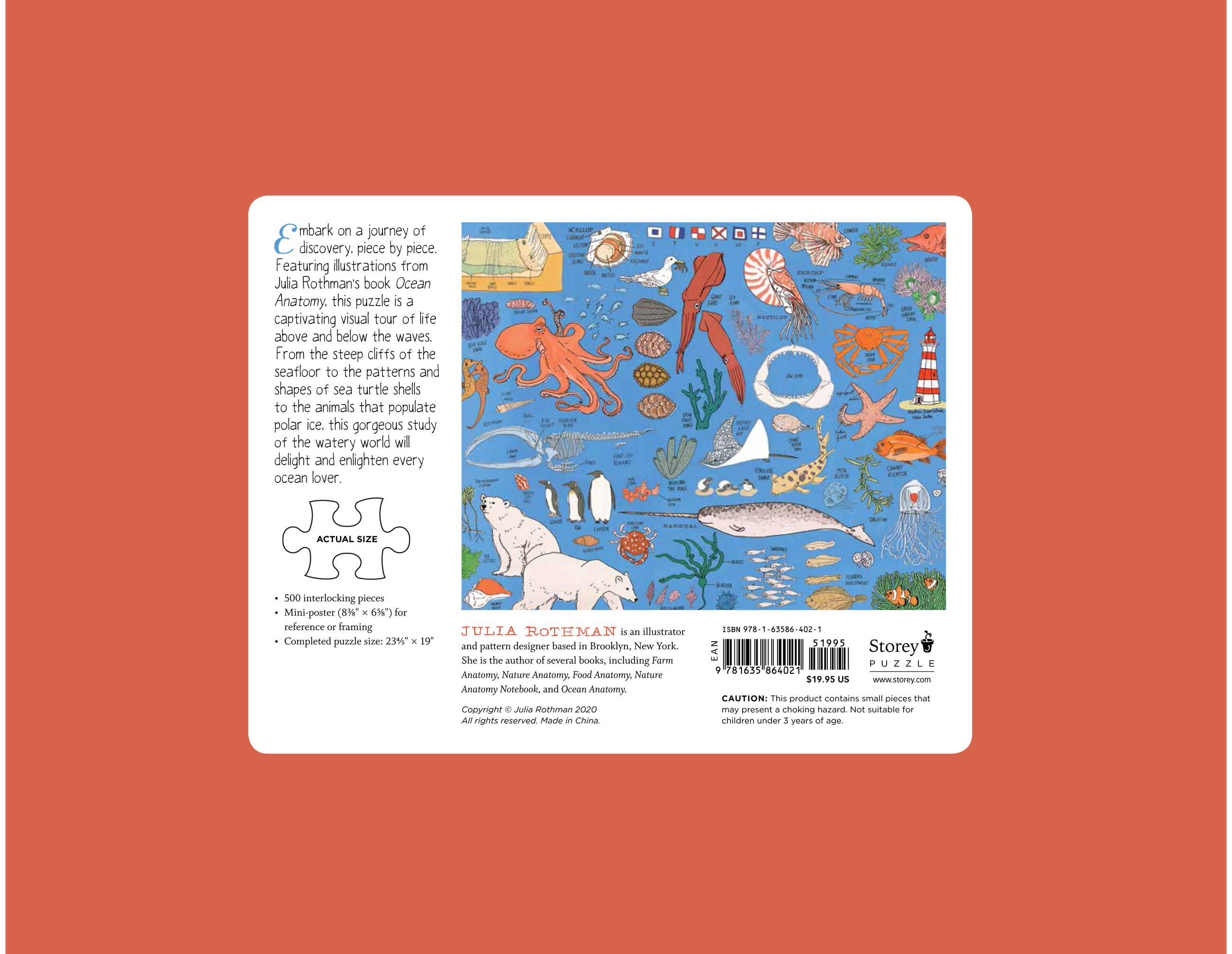 Ocean Anatomy: The Puzzle (500 pieces) by Julia Rothman | Hachette Book ...