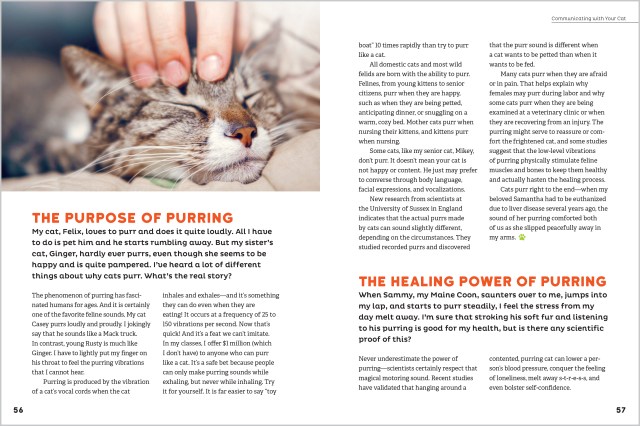 The Cat Behavior Answer Book, 2nd Edition by Arden Moore | Hachette ...