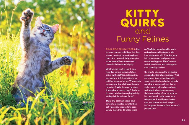 The Cat Behavior Answer Book, 2nd Edition by Arden Moore | Hachette ...