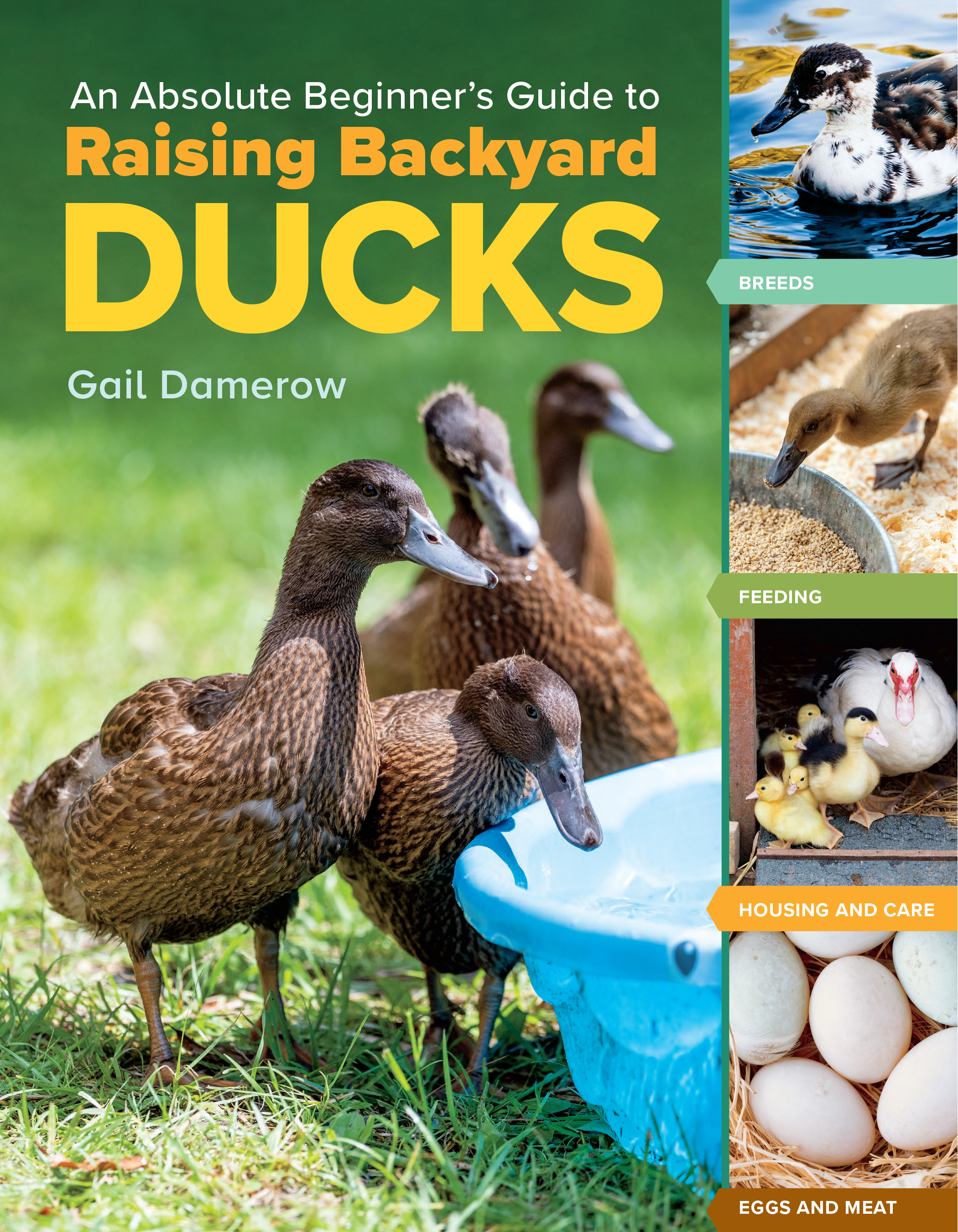 Storey – Books – Farm Animals, Horses & Pets | Hachette Book Group