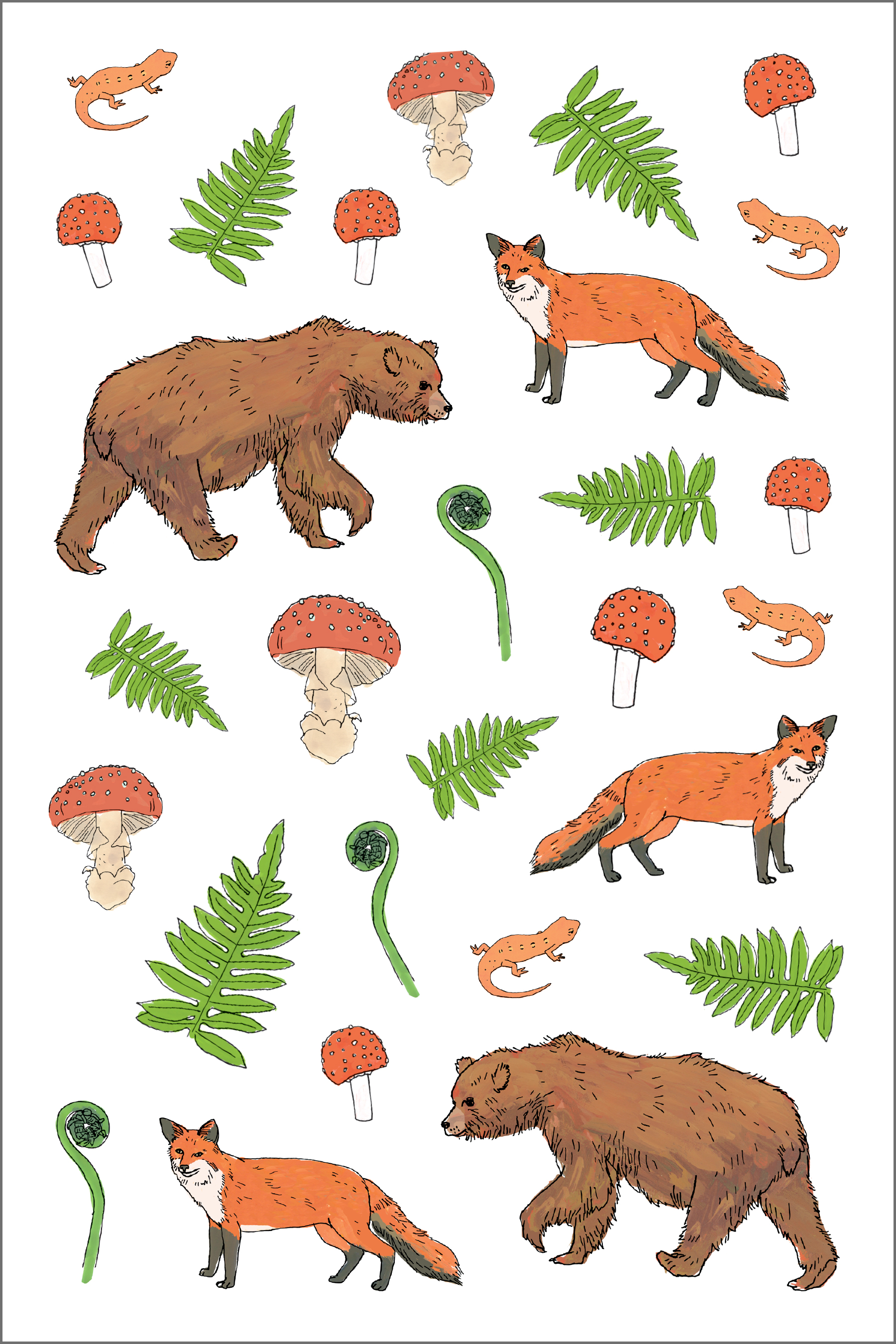 Nature Anatomy Sticker Book by Julia Rothman | Hachette Book Group