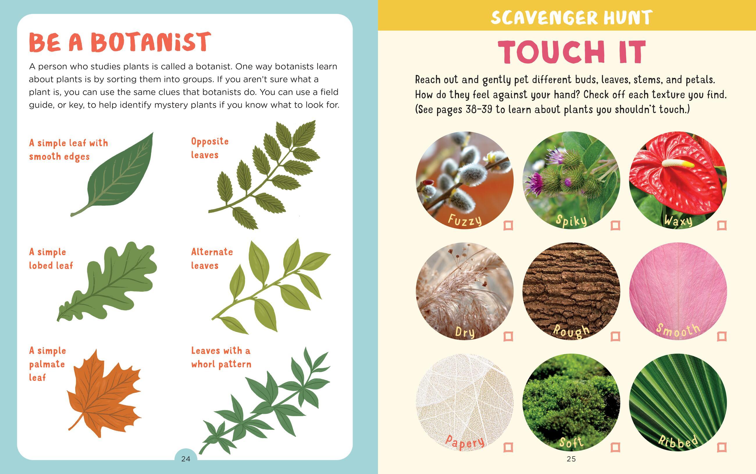 Backpack Explorer: Discovering Plants and Flowers by Editors of Storey ...
