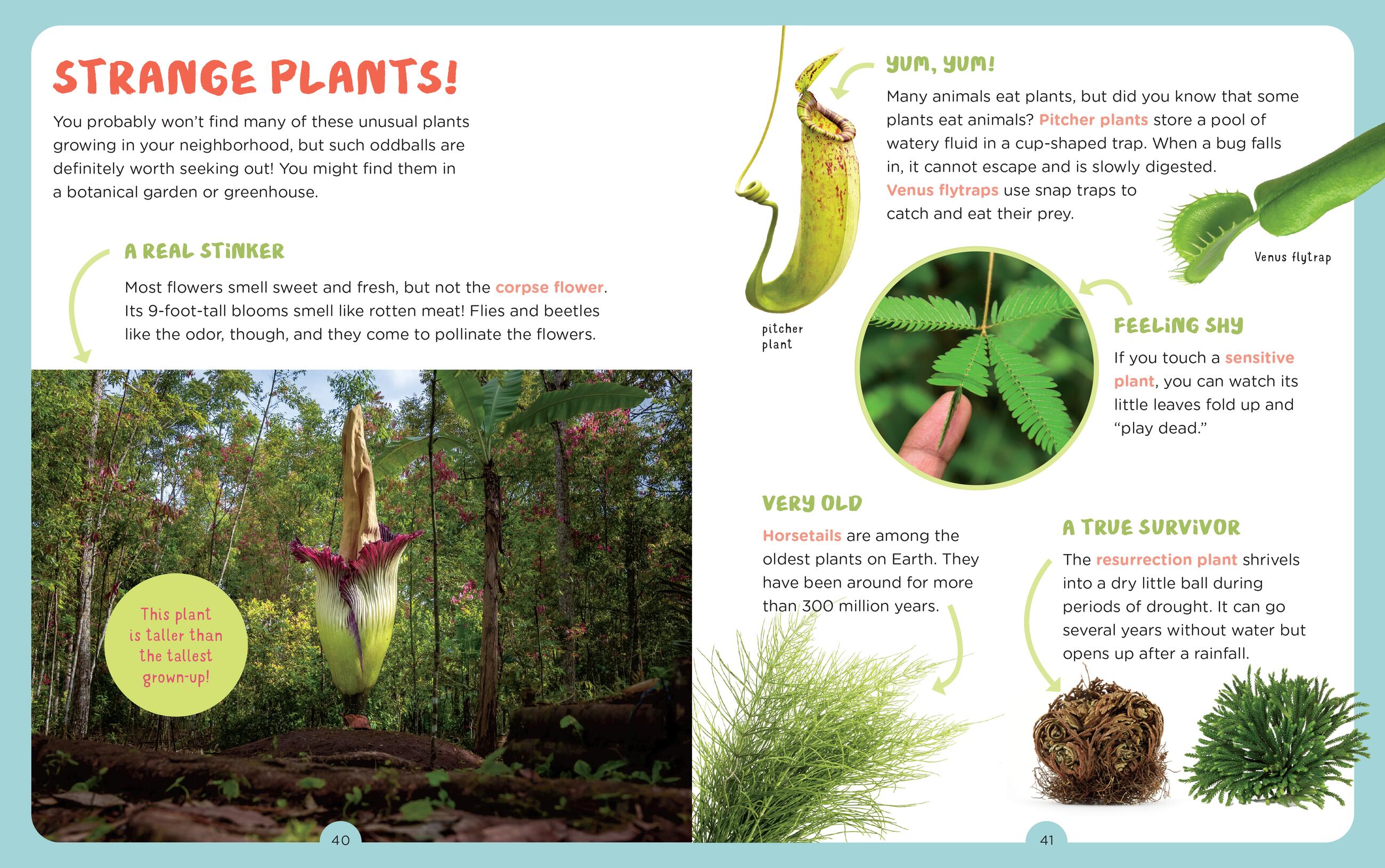 Backpack Explorer: Discovering Plants and Flowers by Editors of Storey ...