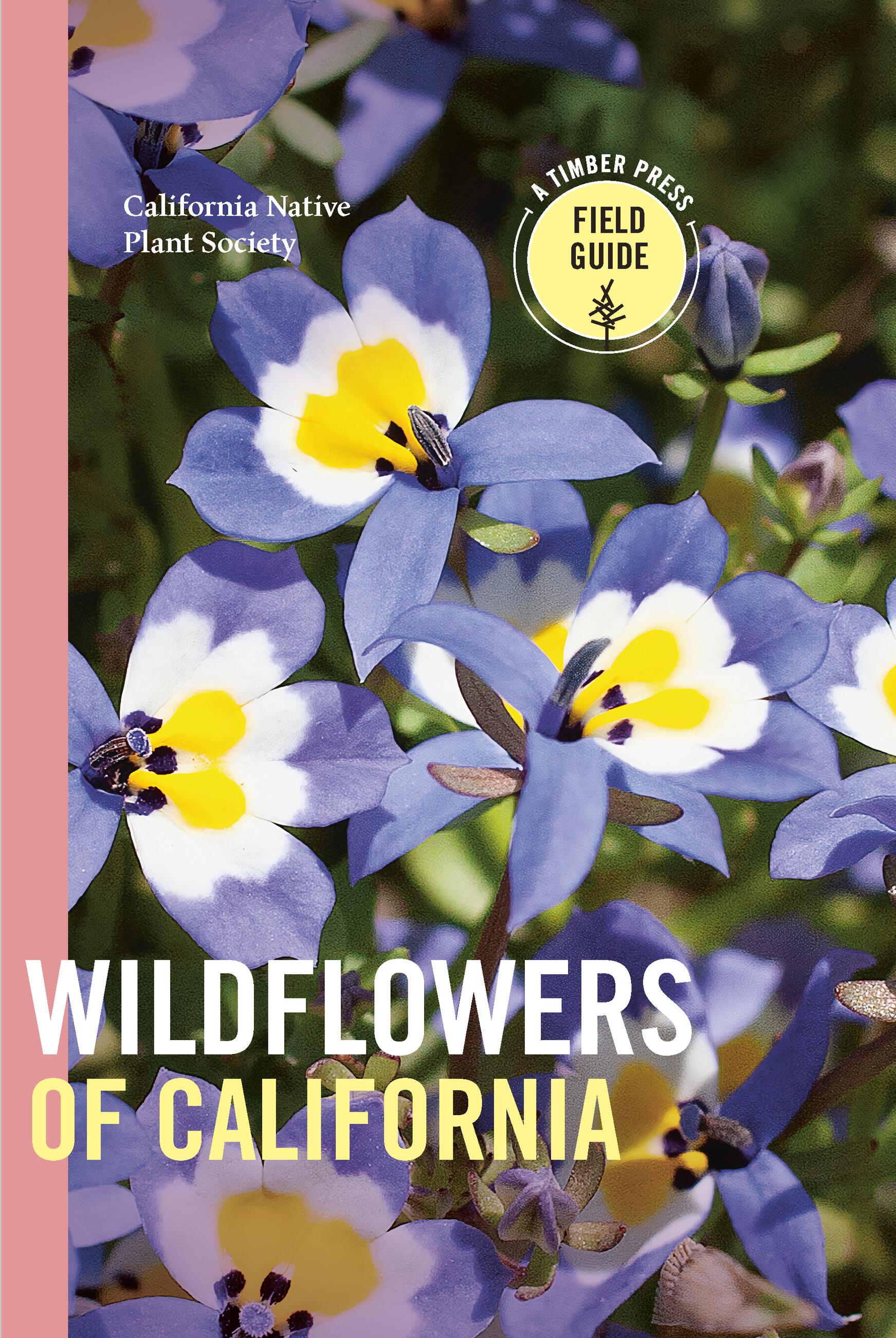 California Wildflowers | Hachette Book Group