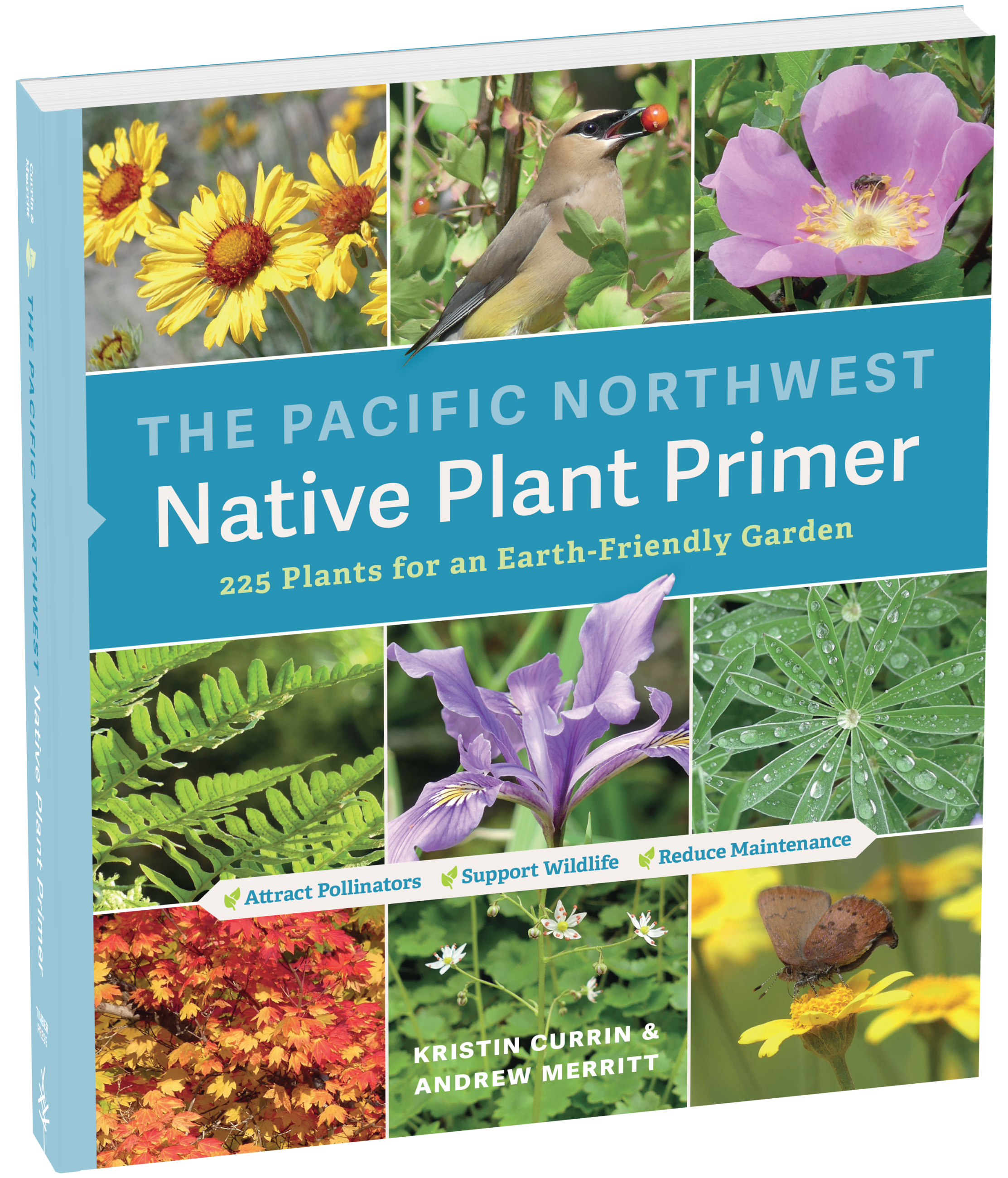 Timber Press – Series – Native Plant Primers | Hachette Book Group