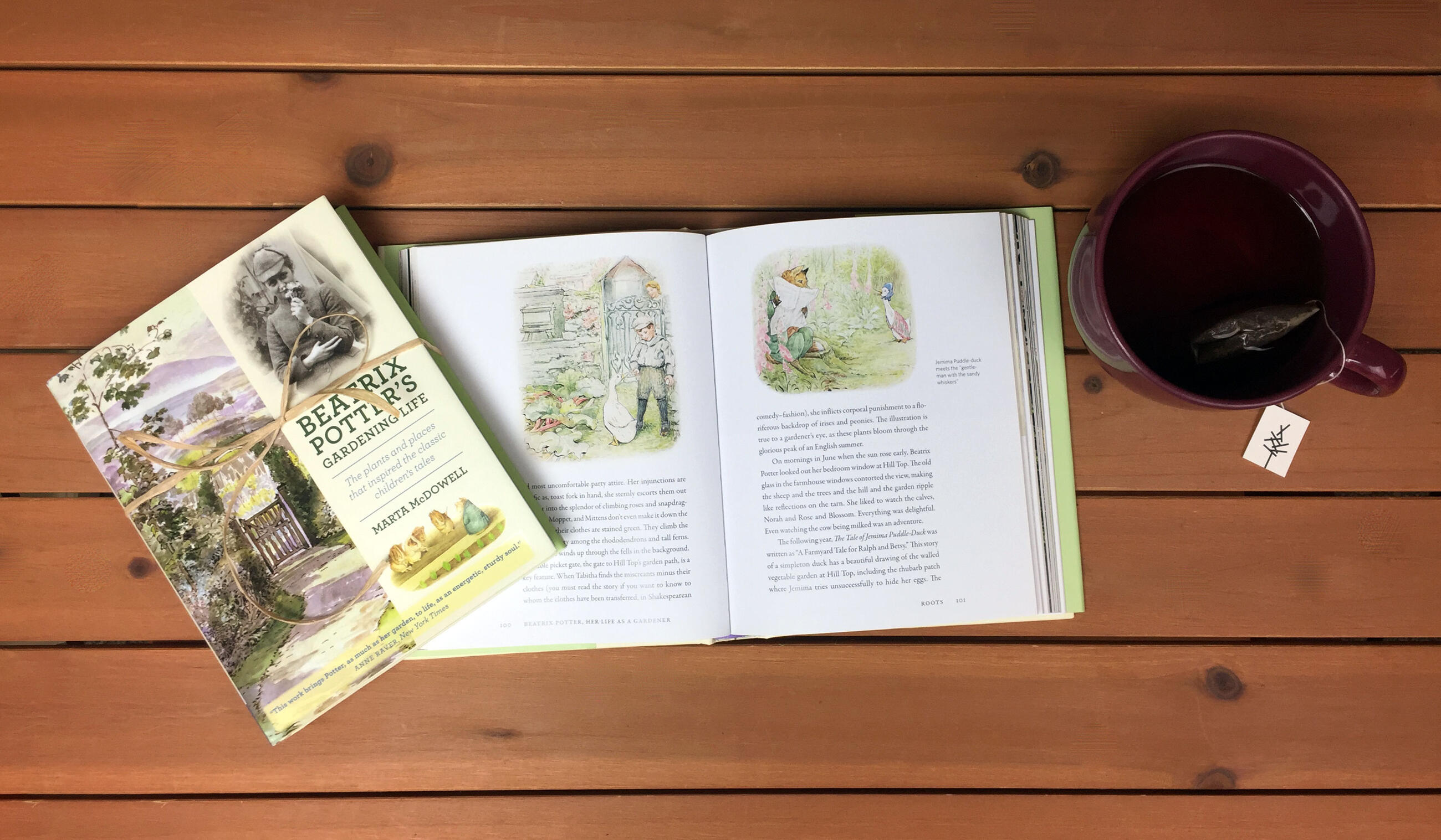 Beatrix Potter’s Gardening Life by Marta McDowell | Hachette Book Group