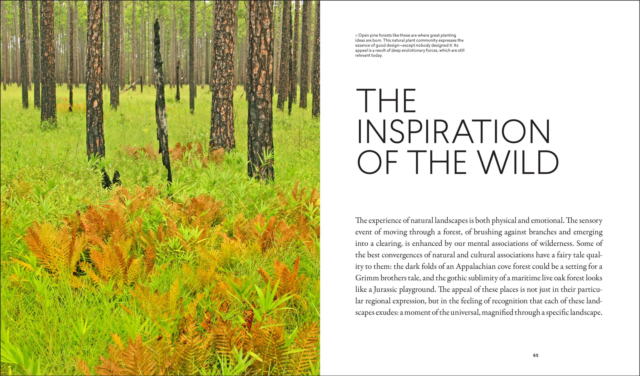 Planting in a Post-Wild World by Thomas Rainer & Claudia West ...