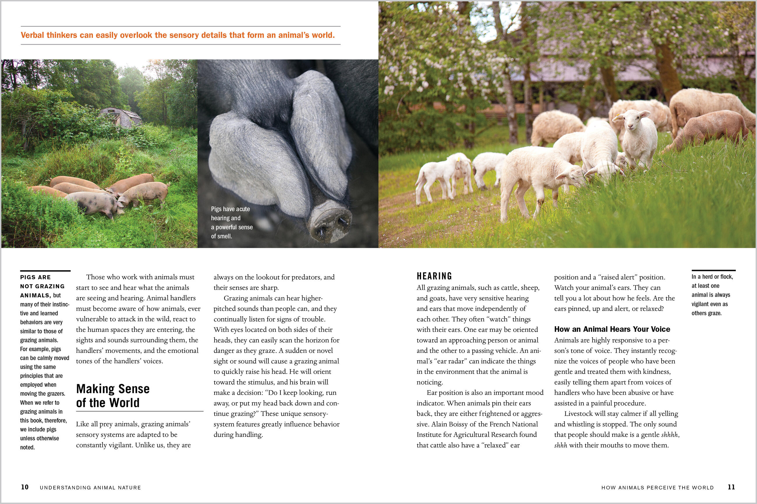 Temple Grandin’s Guide to Working with Farm Animals by Temple Grandin ...