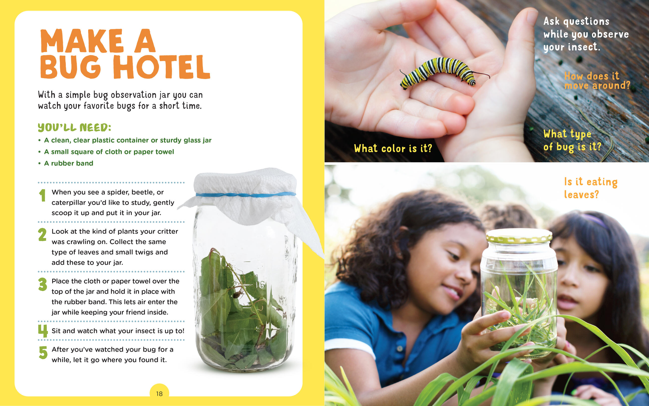 Backpack Explorer: Bug Hunt by Editors of Storey Publishing & Oana ...