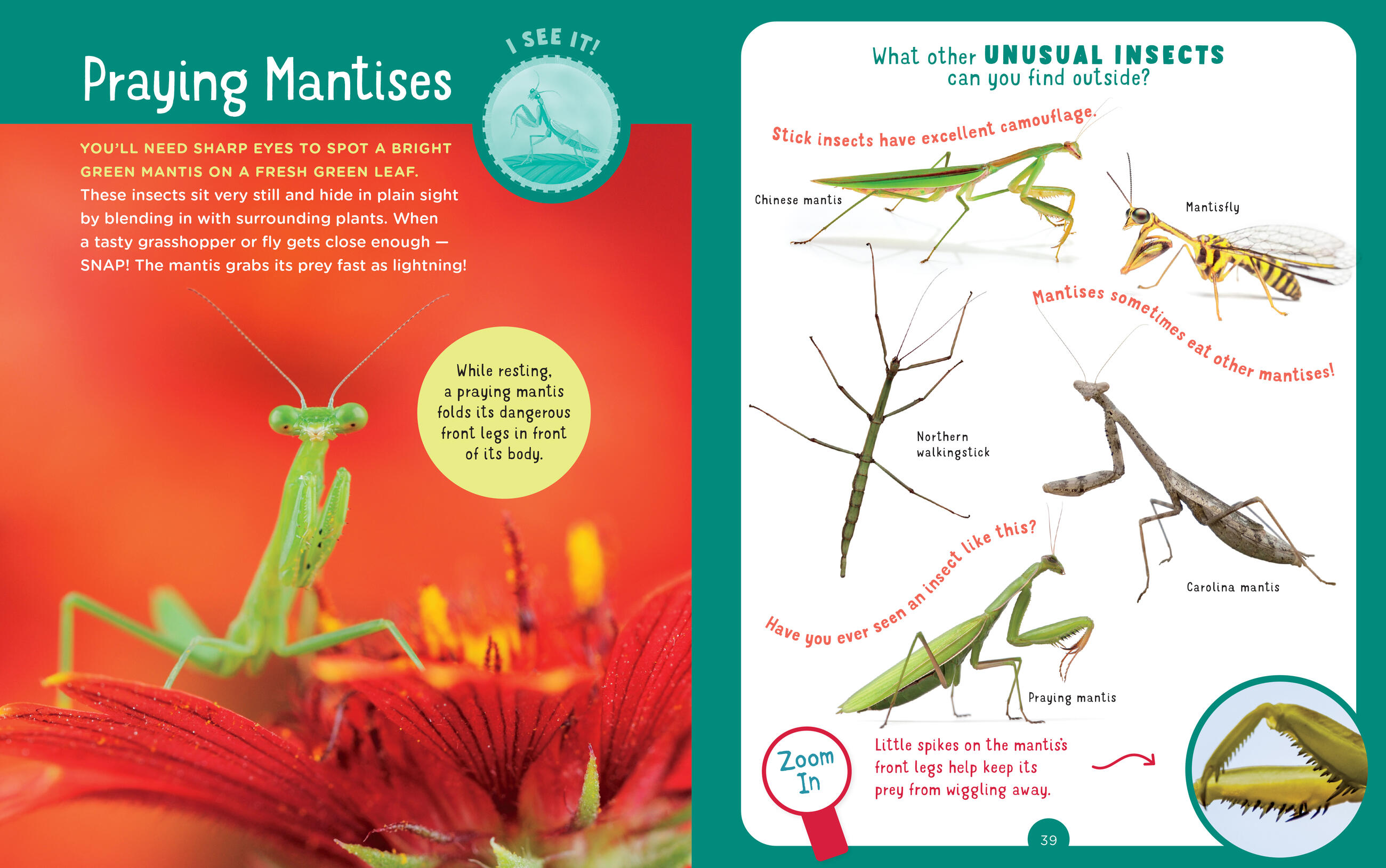 Backpack Explorer: Bug Hunt by Editors of Storey Publishing & Oana ...