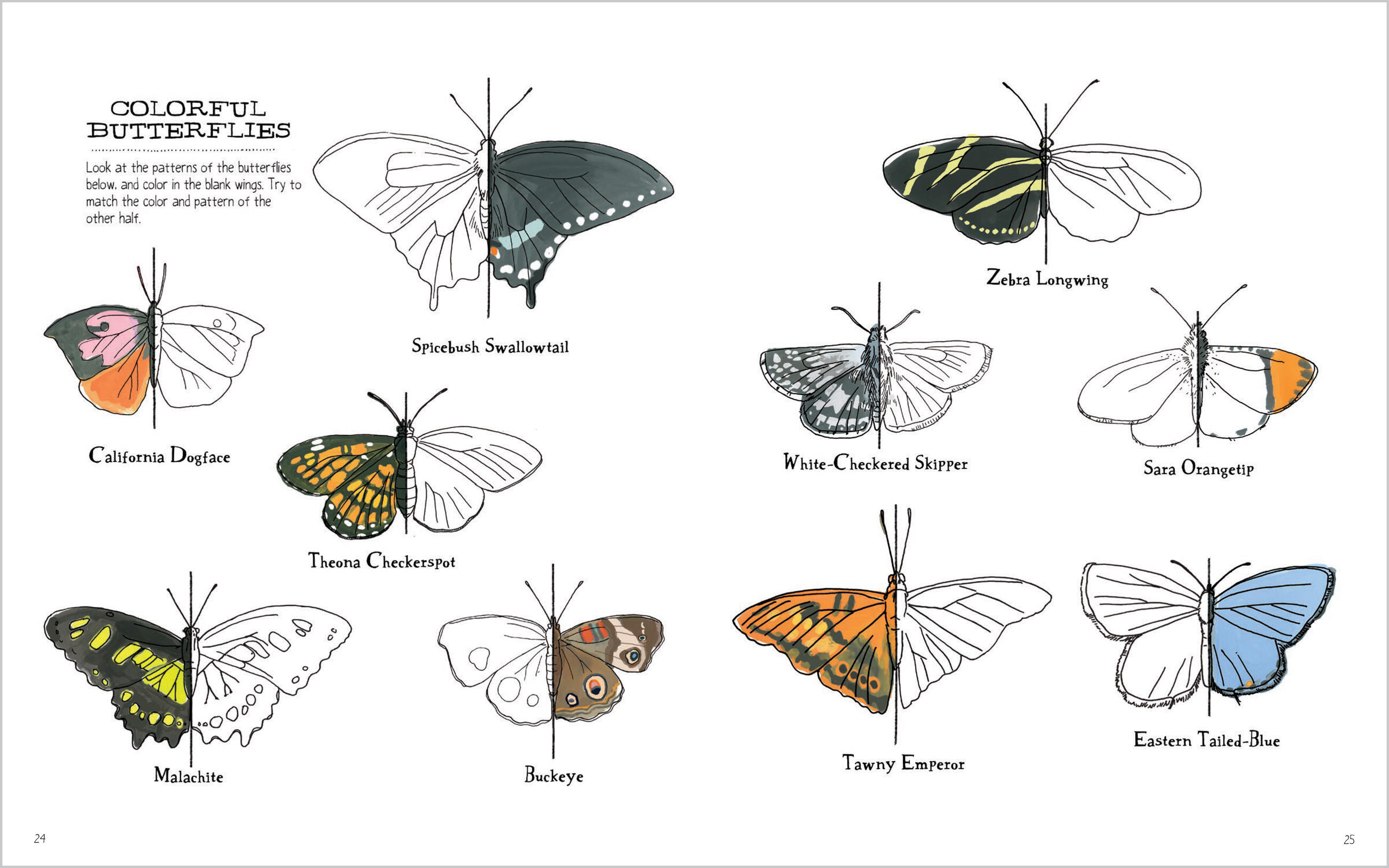 Julia Rothman’s Nature Anatomy Activity Book by Julia Rothman ...