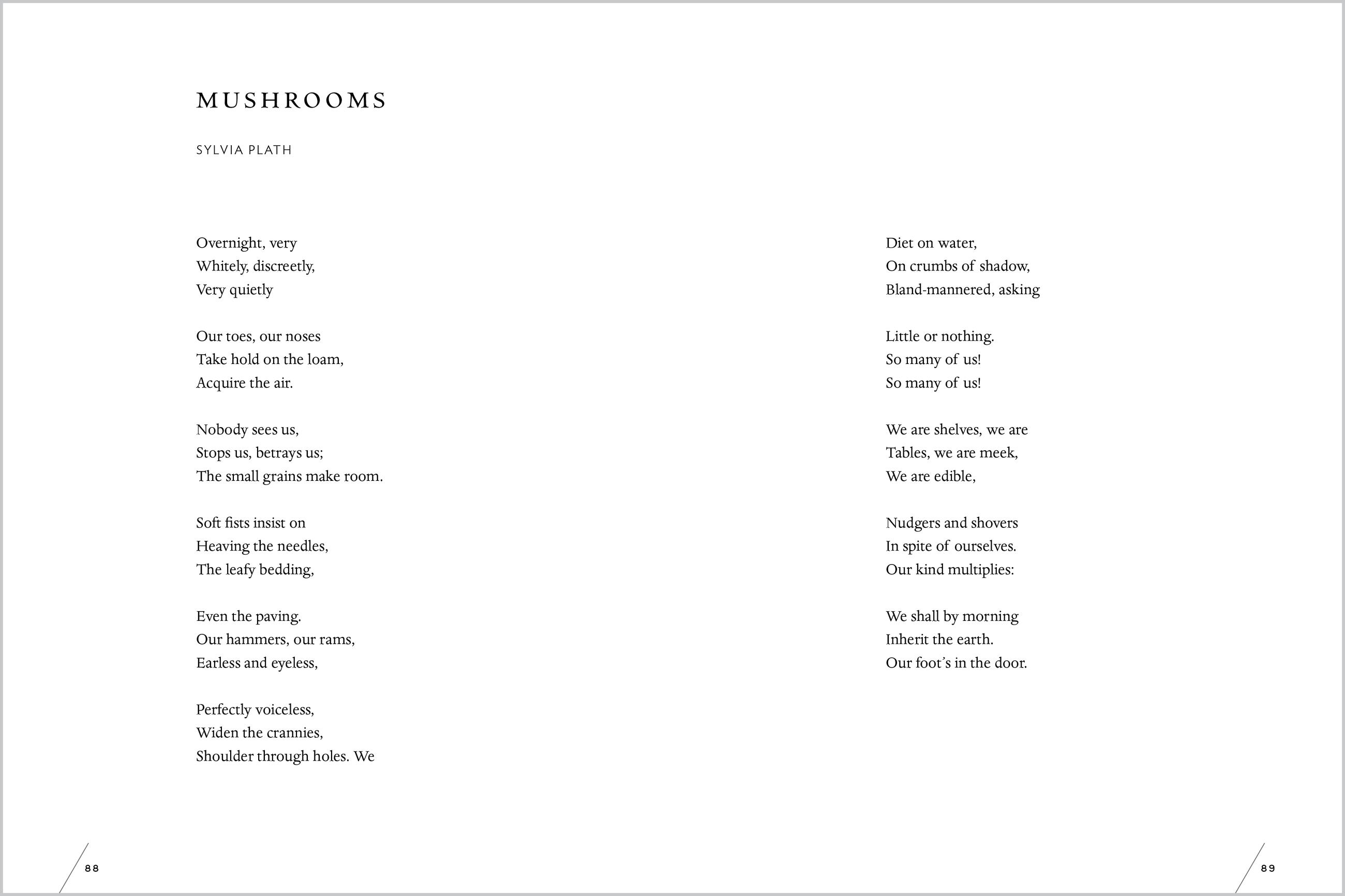 The Universe in Verse by Maria Popova & Ofra Amit | Hachette Book Group