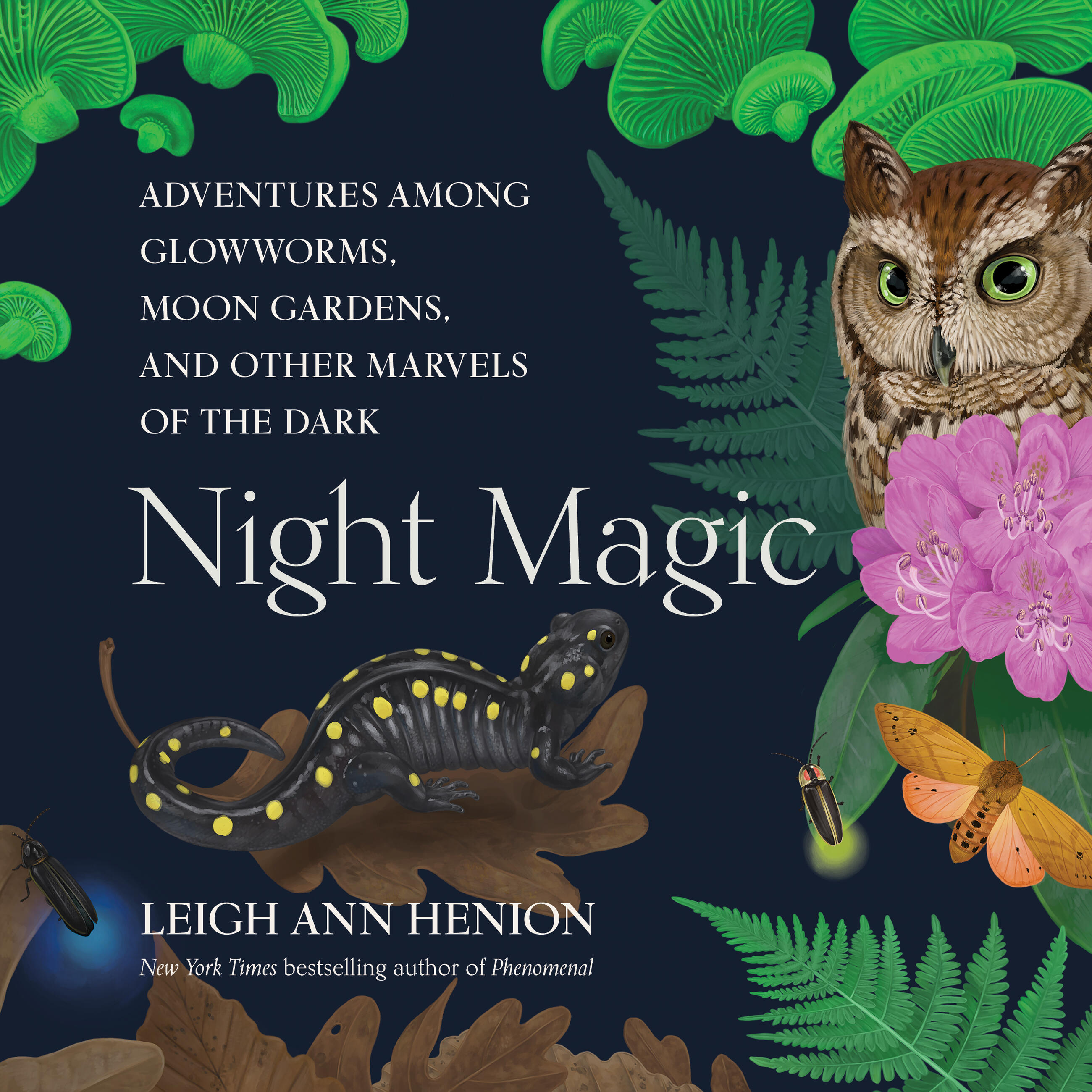 Night Magic by Leigh Ann Henion | Hachette Book Group