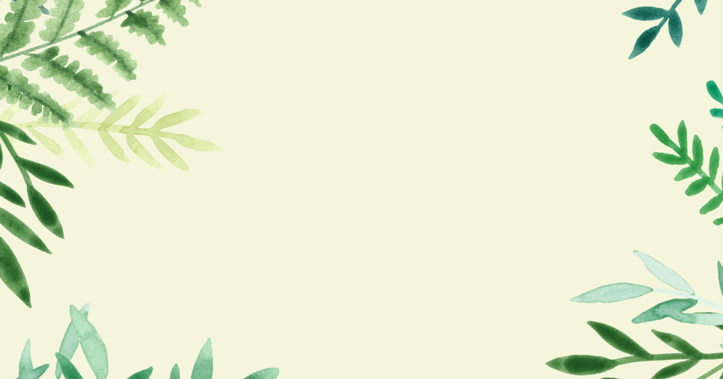 Algonquin | Hachette Book Group | Hachette Book Group