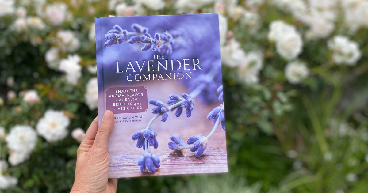 The Lavender Companion: Lavender and Wellness | Hachette Book Group