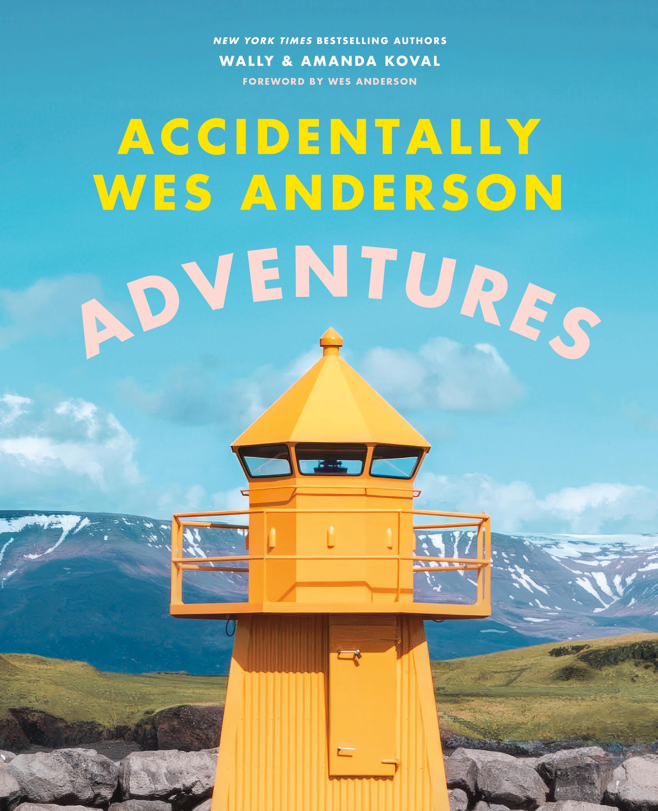 Accidentally Wes Anderson | Hachette Book Group