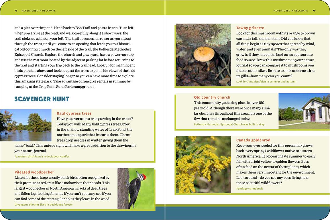 50 Hikes with Kids Virginia and Maryland by Alison Humphreys | Hachette ...