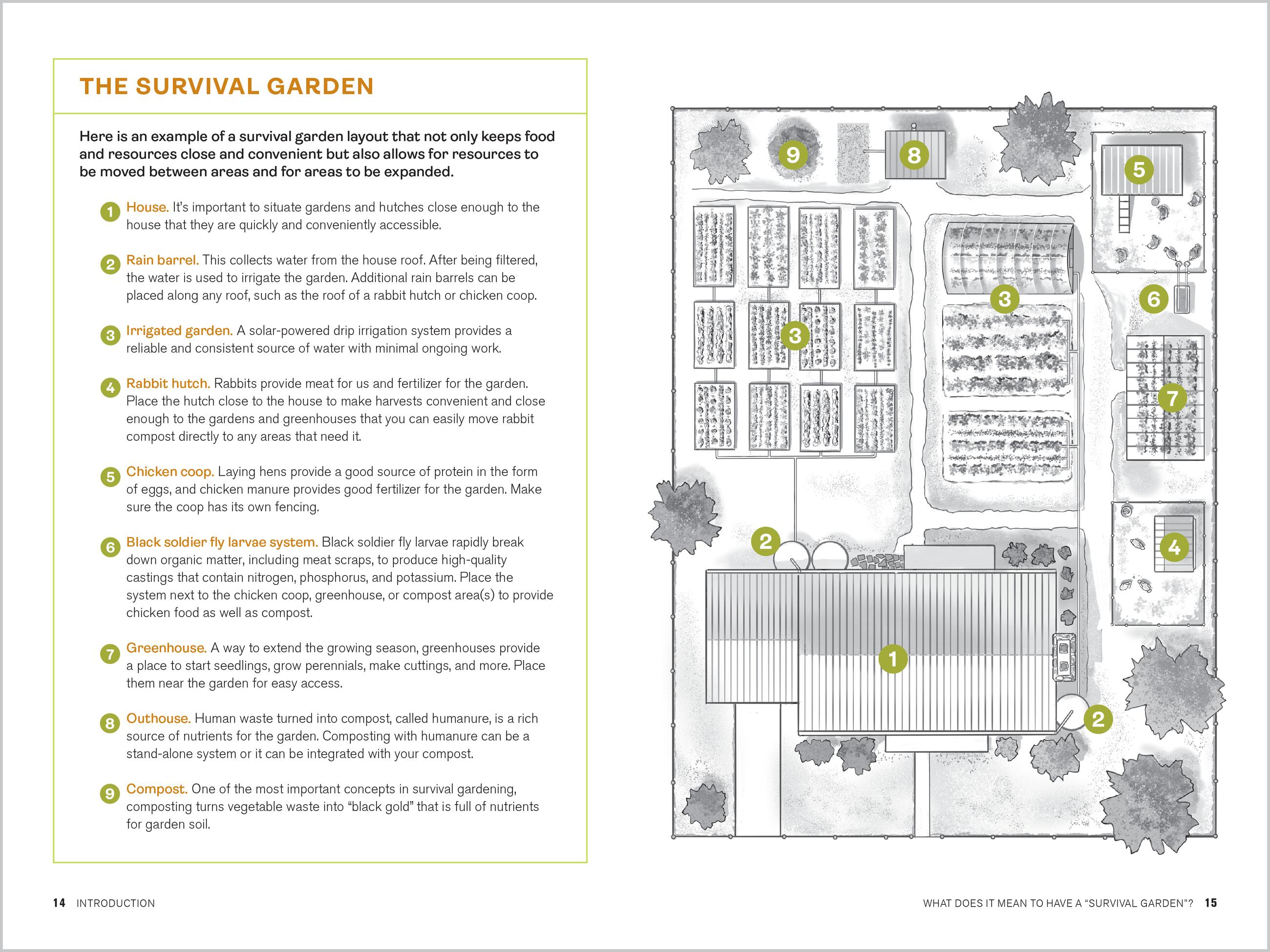 Survival Gardening by Sam Coffman | Hachette Book Group