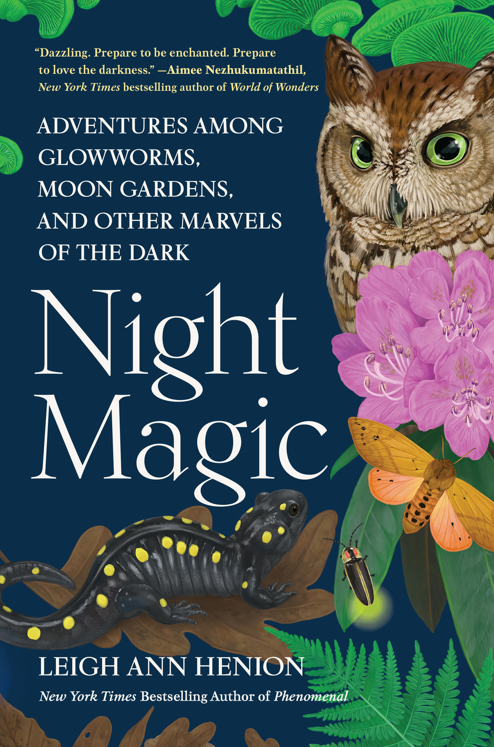 Night Magic by Leigh Ann Henion | Hachette Book Group