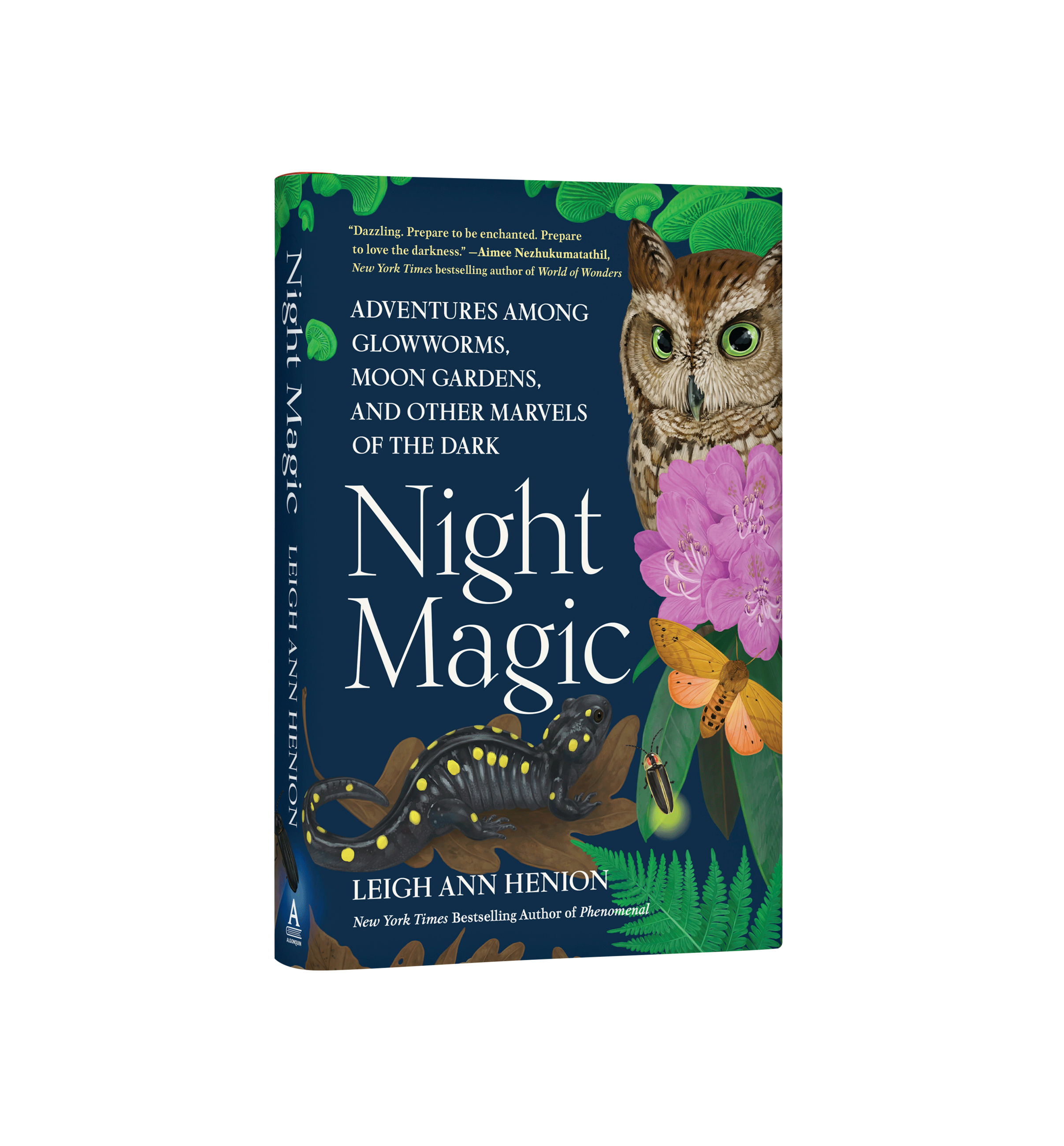 Night Magic by Leigh Ann Henion | Hachette Book Group