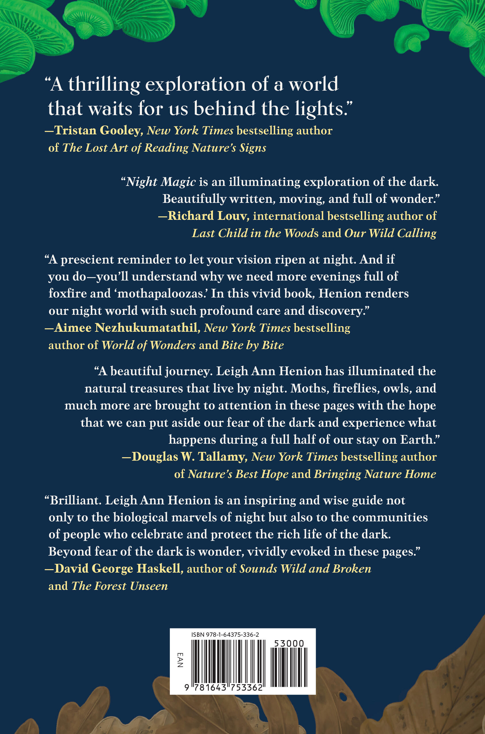 Night Magic by Leigh Ann Henion | Hachette Book Group