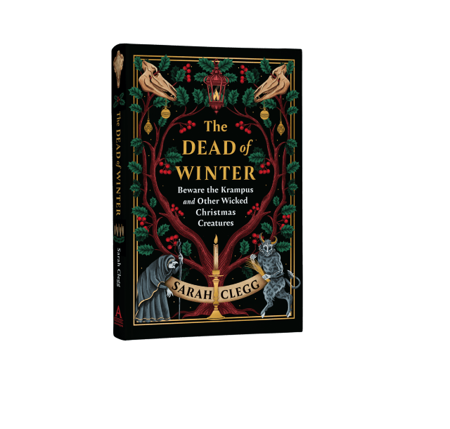 The Dead of Winter by Sarah Clegg | Hachette Book Group