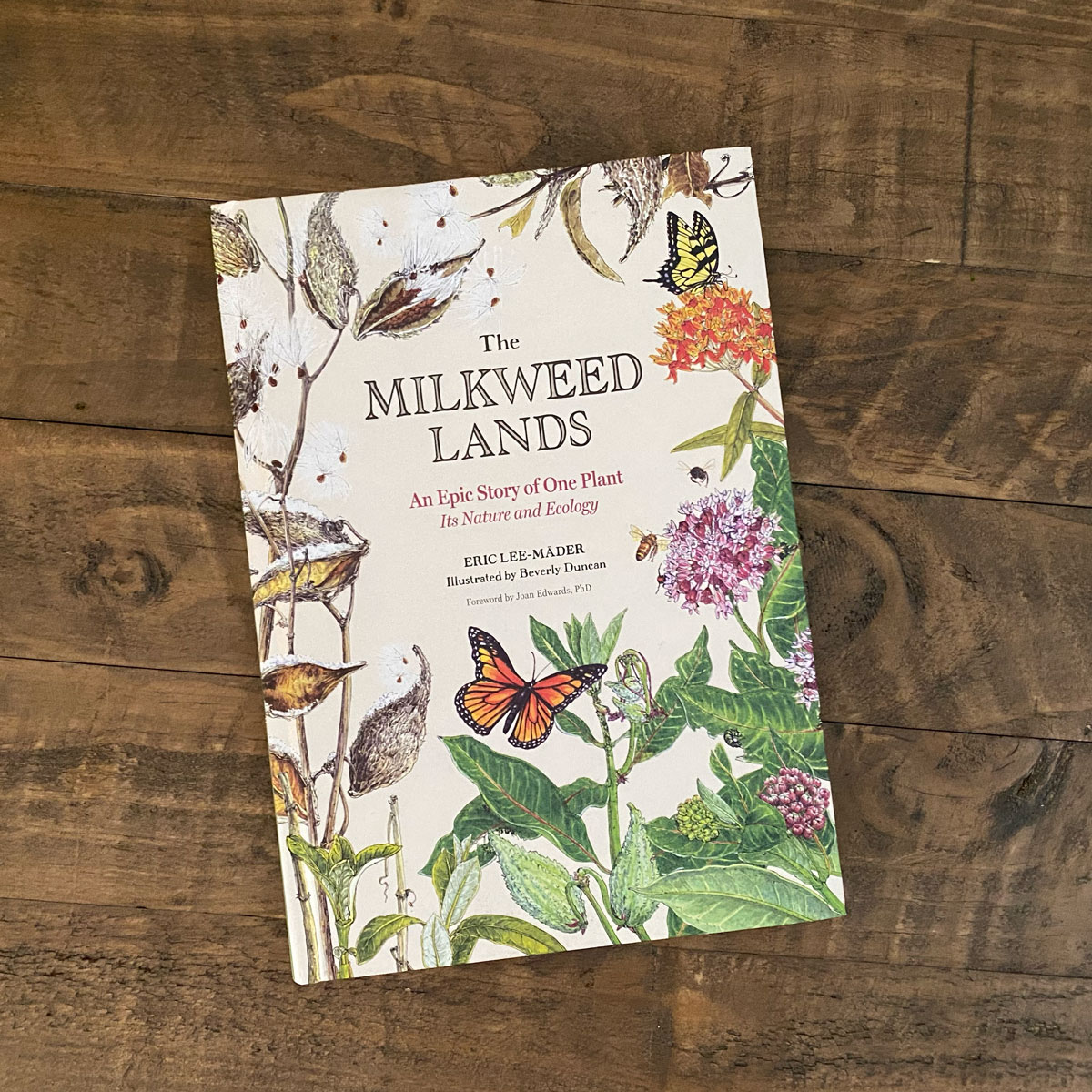 The Intricate Dance of Milkweed Pollination | Hachette Book Group