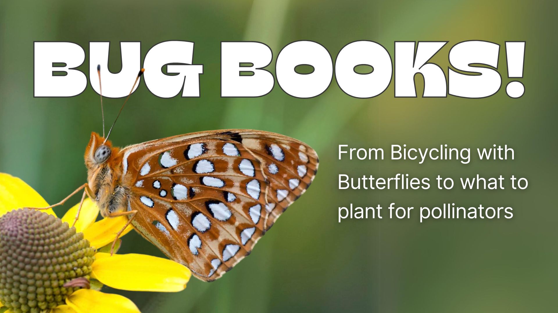Bug Books: Nonfiction Books about Insects | Hachette Book Group