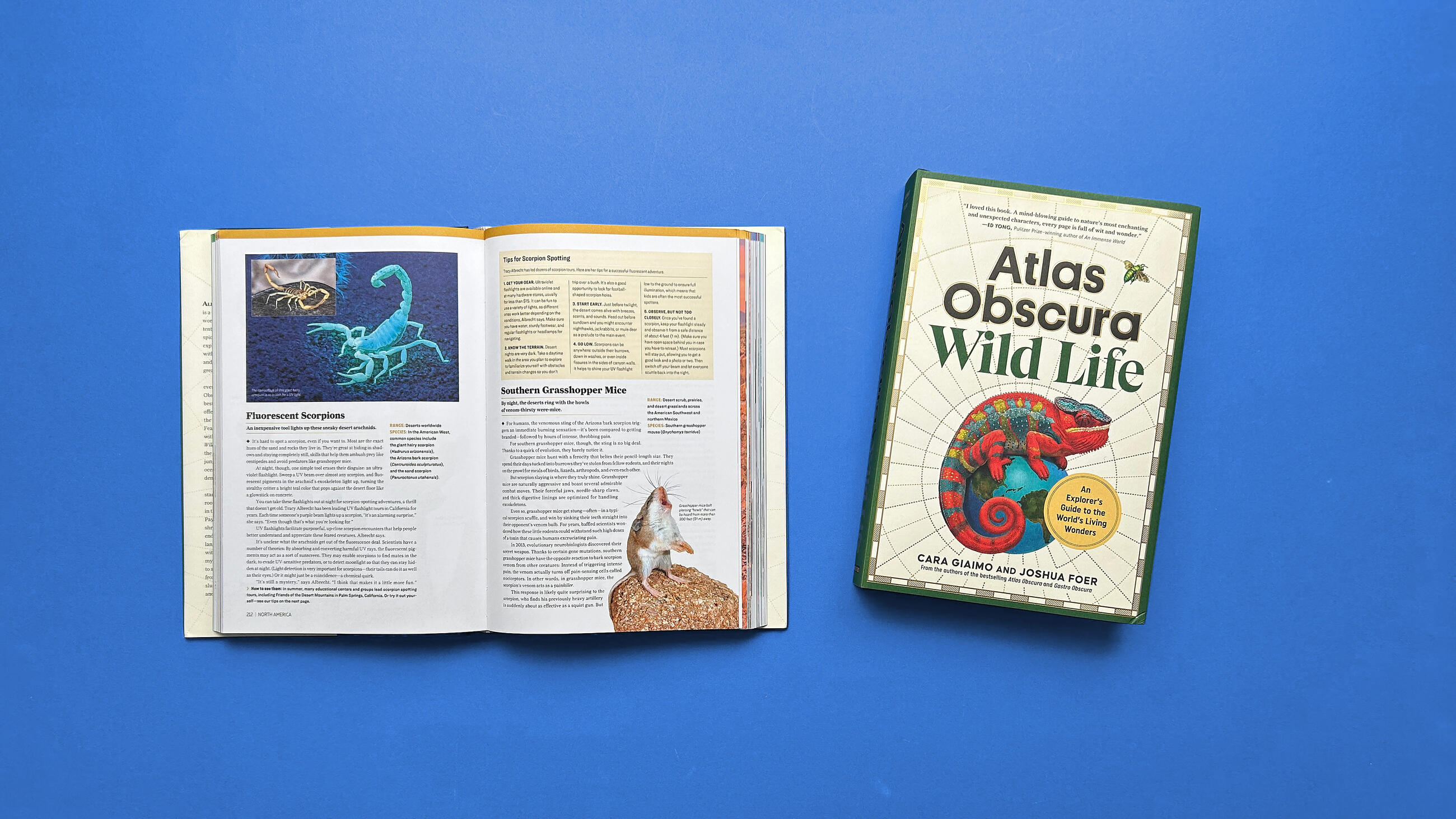 Atlas Obscura: Wild Life by Cara Giaimo & Joshua Foer & Atlas Obscura ...