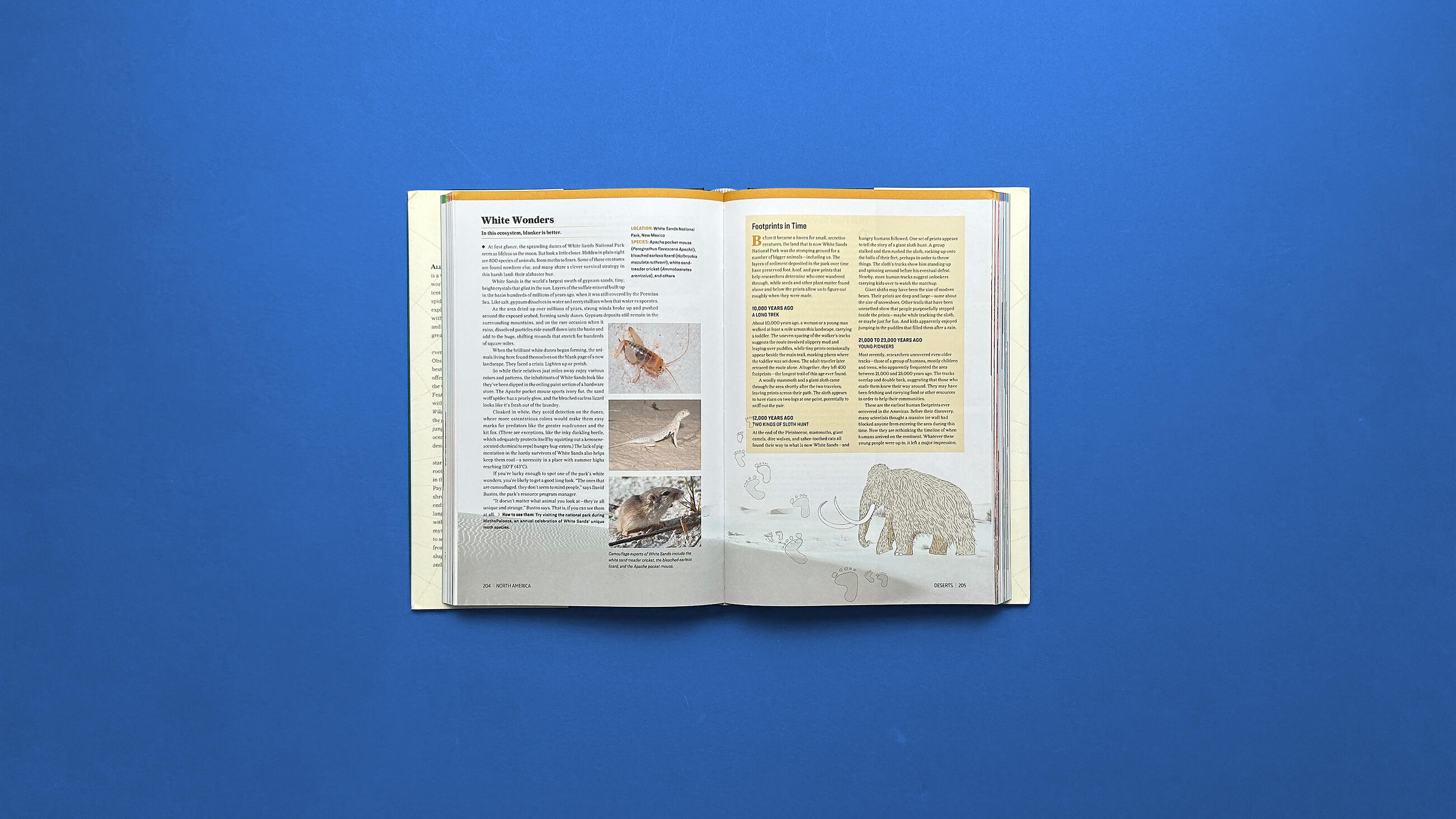 Atlas Obscura: Wild Life by Cara Giaimo & Joshua Foer & Atlas Obscura ...