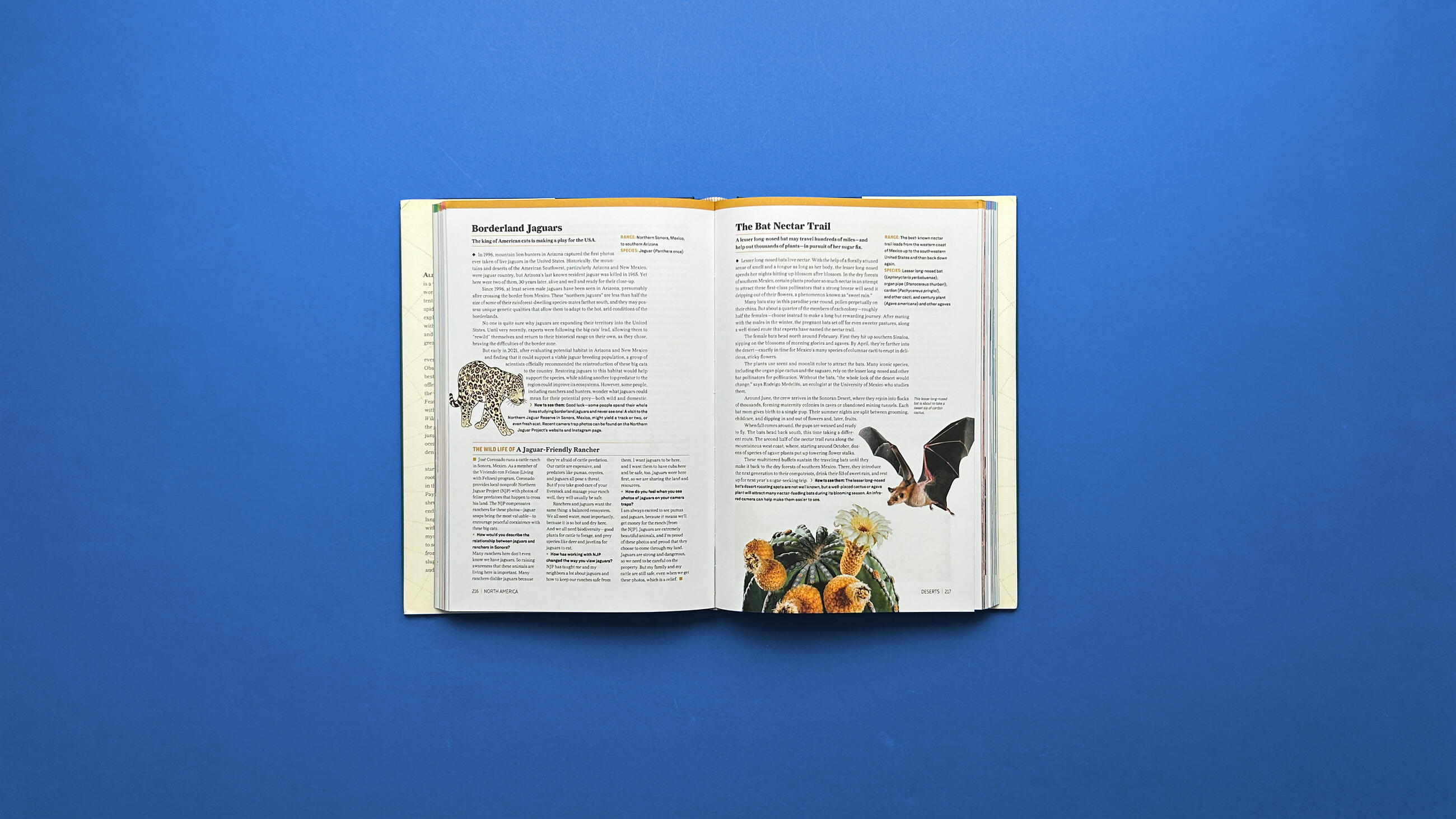 Atlas Obscura: Wild Life by Cara Giaimo & Joshua Foer & Atlas Obscura ...