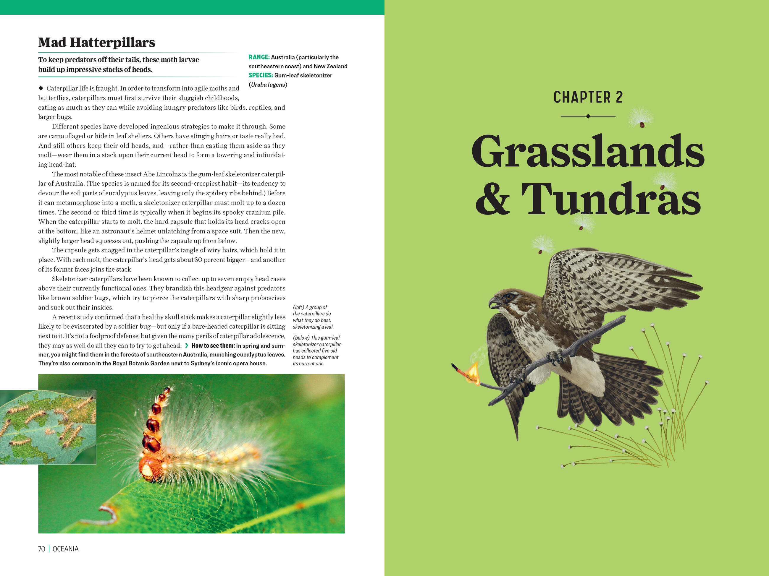 Atlas Obscura: Wild Life by Cara Giaimo | Hachette Book Group