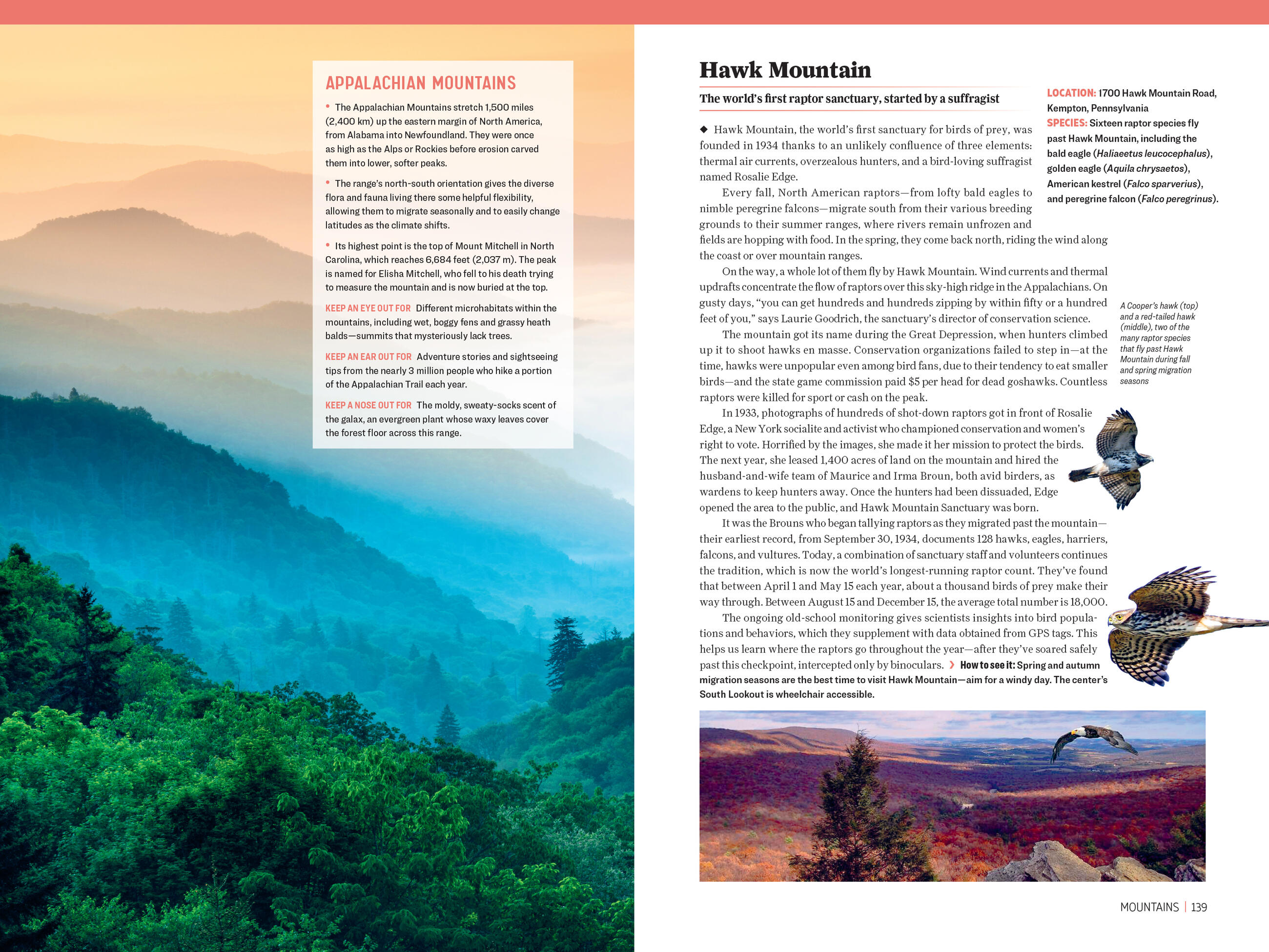 Atlas Obscura: Wild Life by Cara Giaimo | Hachette Book Group