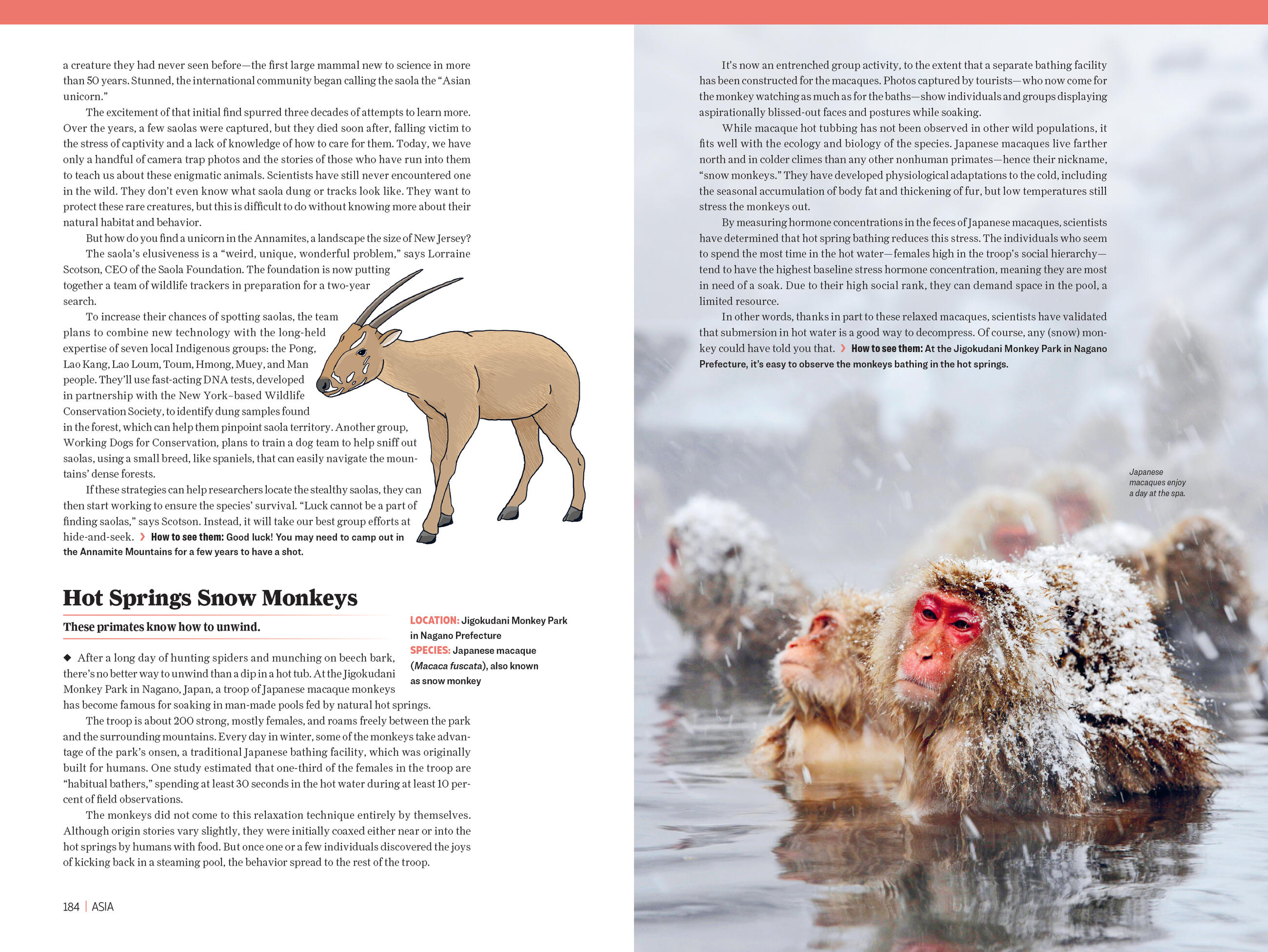 Atlas Obscura: Wild Life by Cara Giaimo | Hachette Book Group